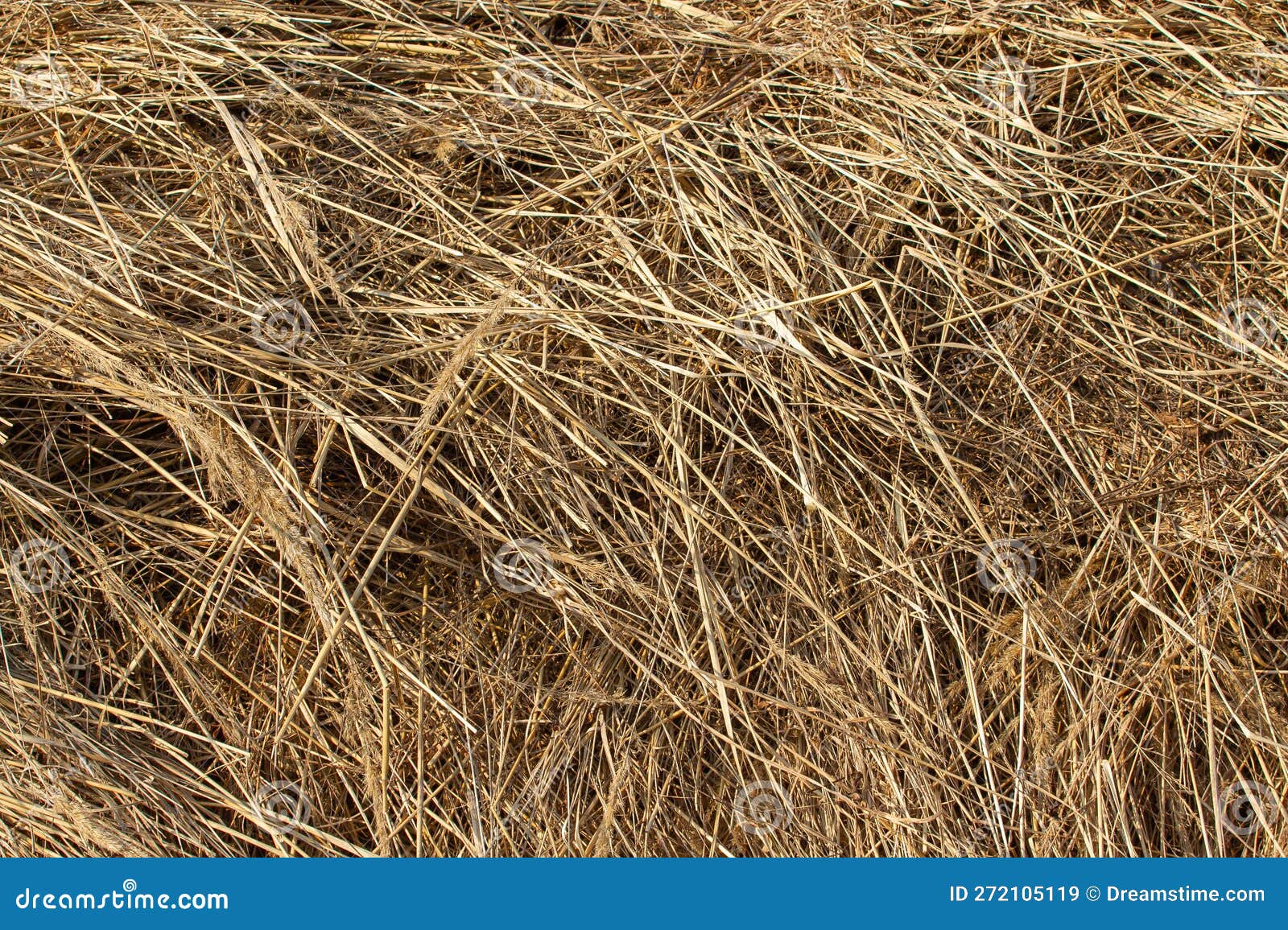 Texture , Background . Haystack in the Open Air Stock Image - Image of ...