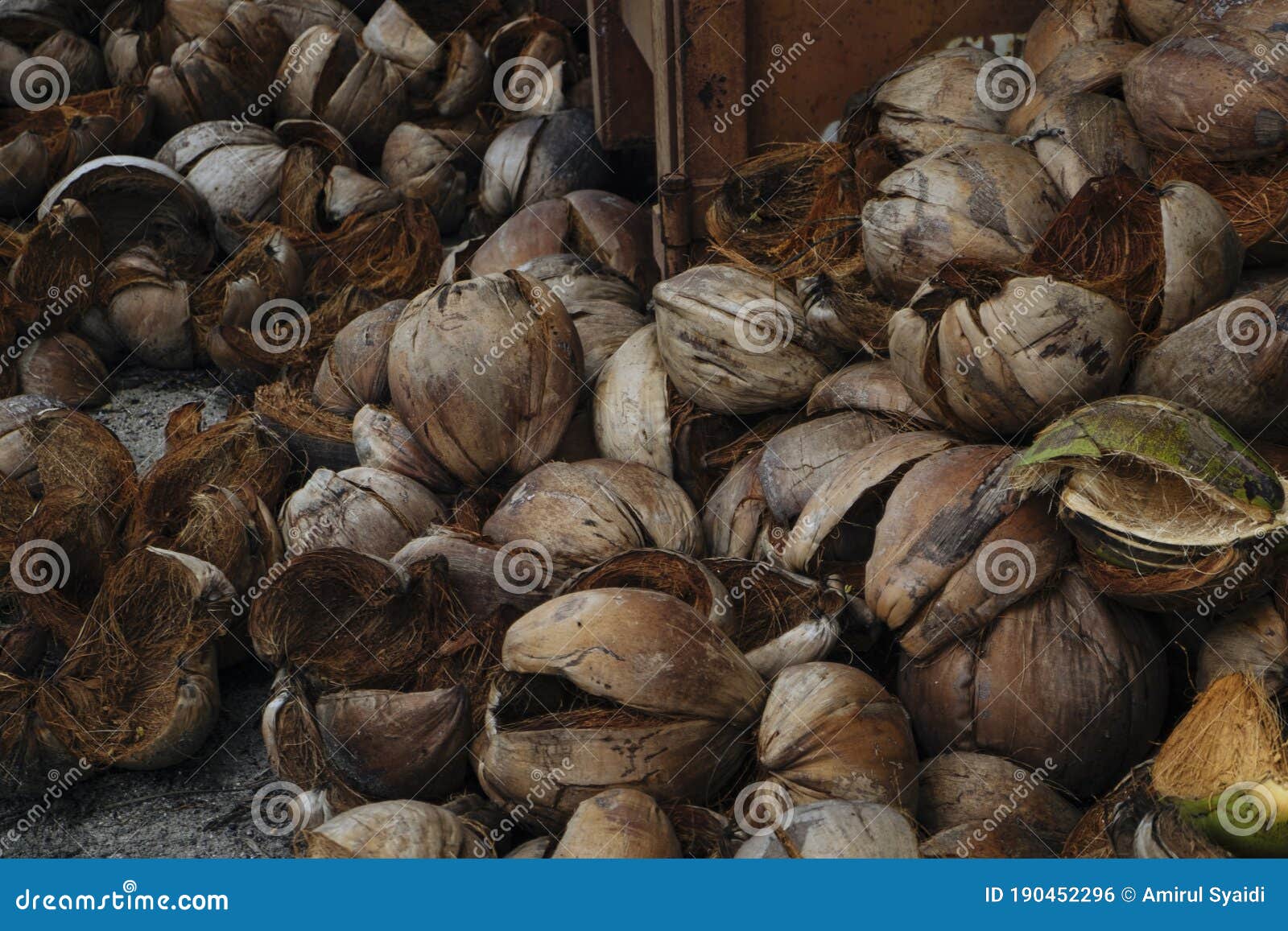 Texture Background Image of Coconut Coir Husk or Shell Stock Photo ...