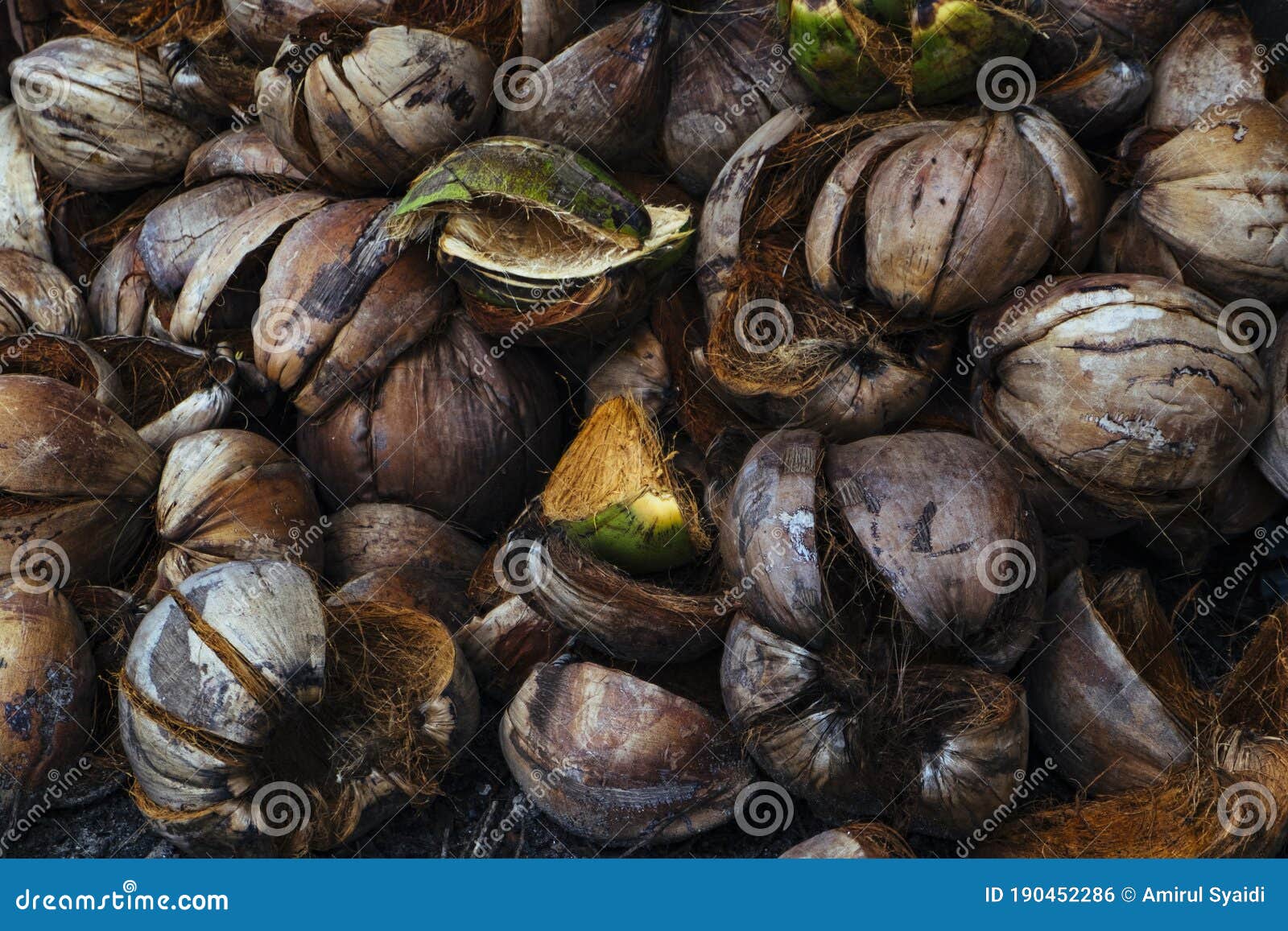 Texture Background Image of Coconut Coir Husk or Shell Stock Photo ...