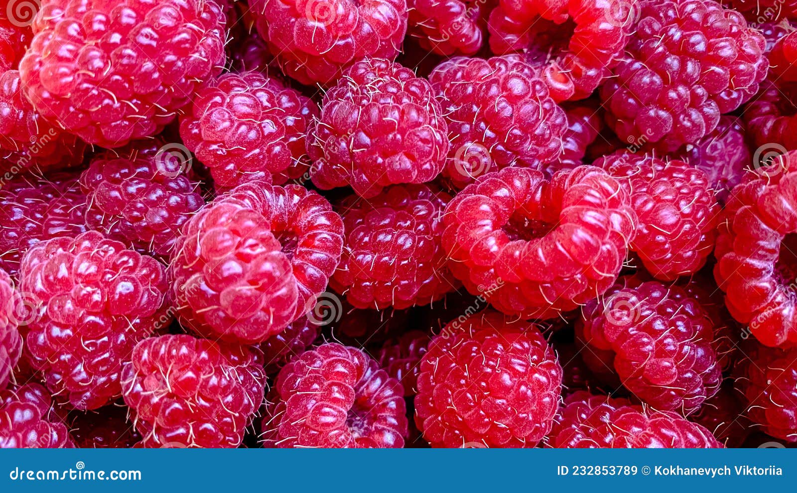 Texture Background from a Large Number of Raspberries. Stock Image ...