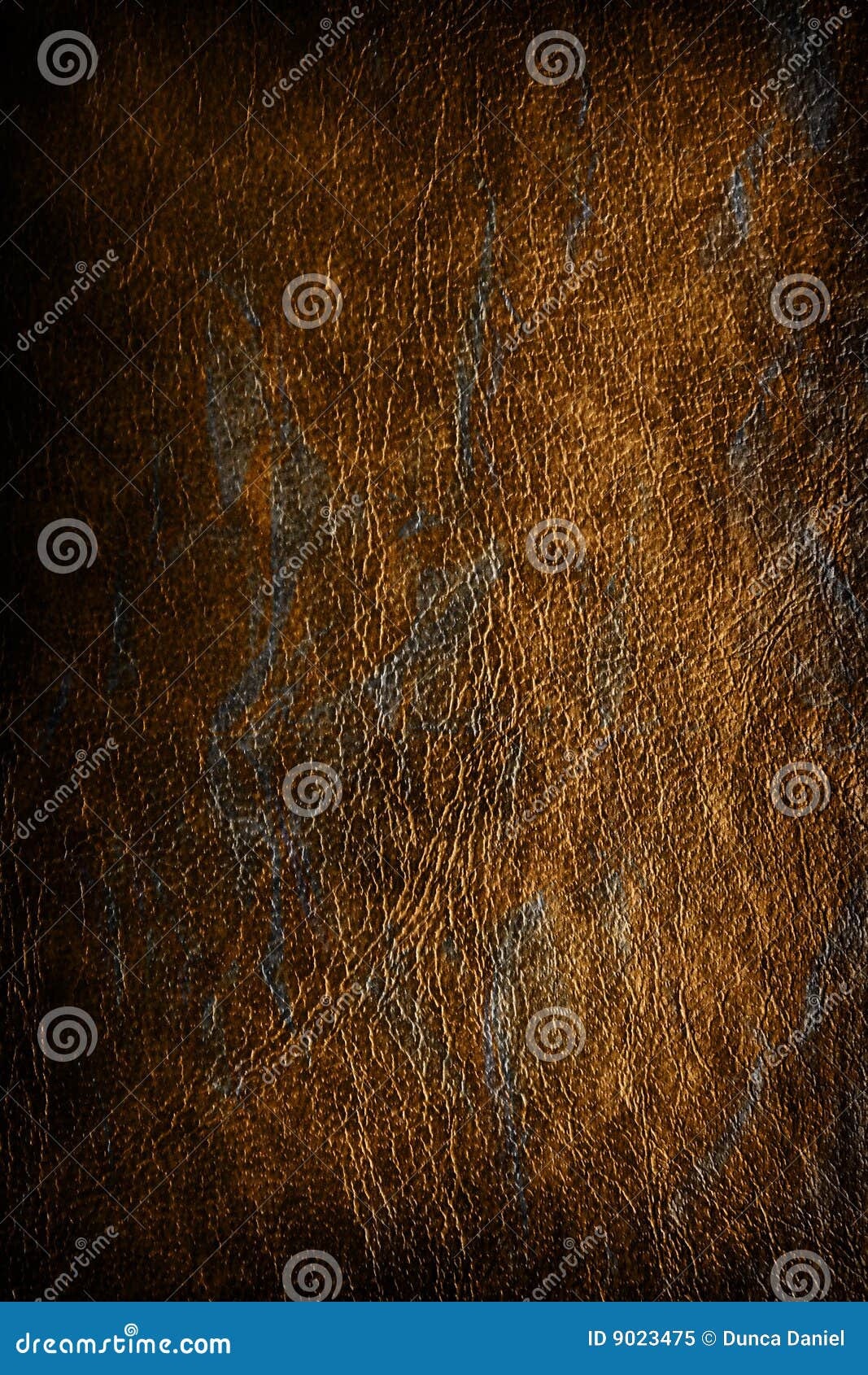 9,855 Stained Leather Stock Photos - Free & Royalty-Free Stock Photos ...