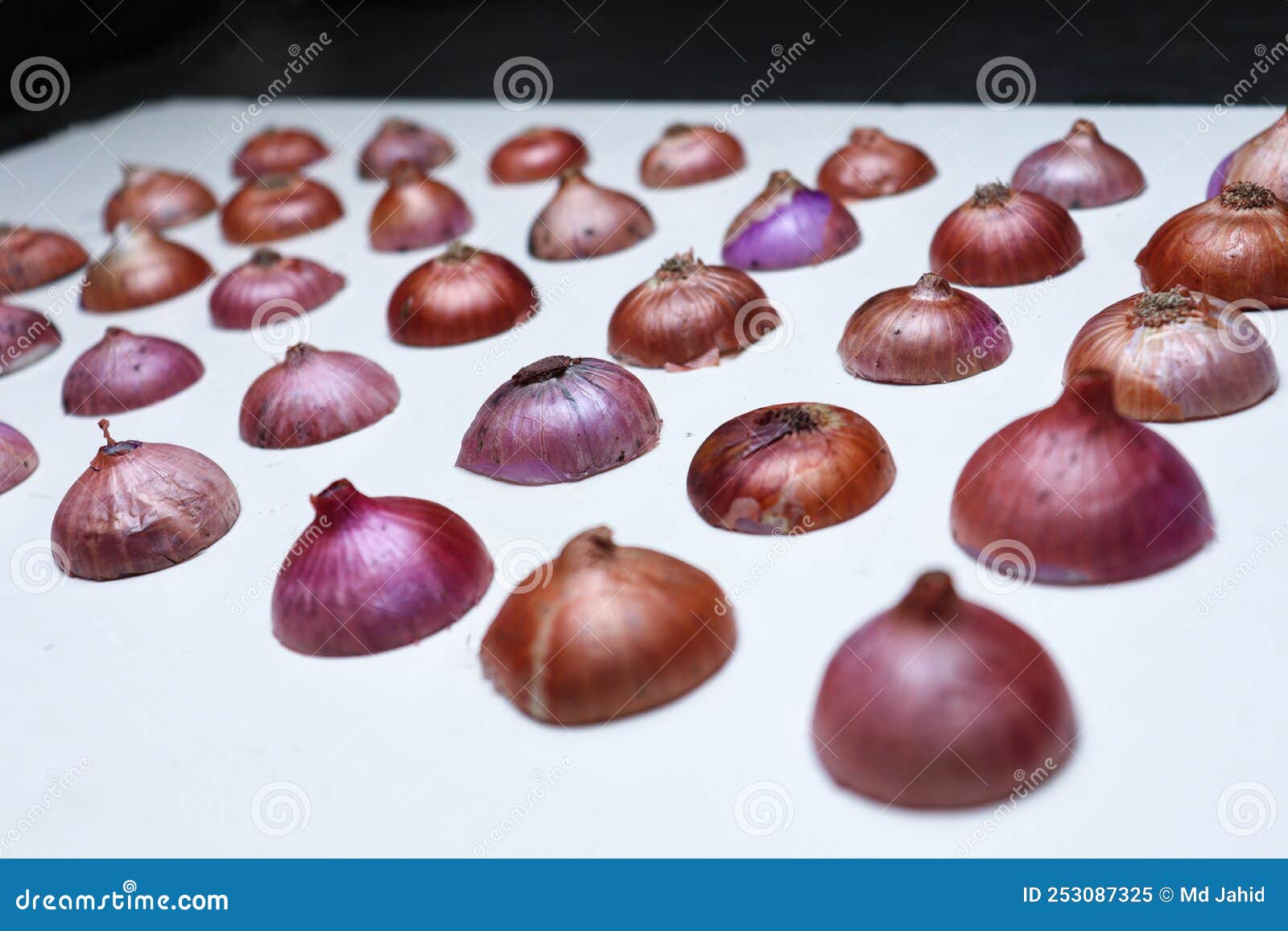 A Texture Background of Onion Stock Image - Image of cookery, onion ...