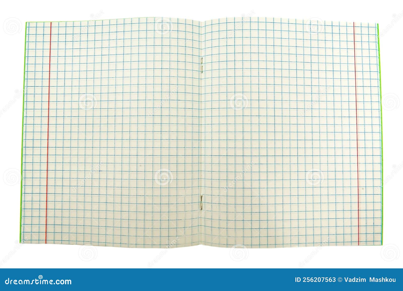 Texture, Background of a School Notebook in a Cage Close-up Stock Image ...