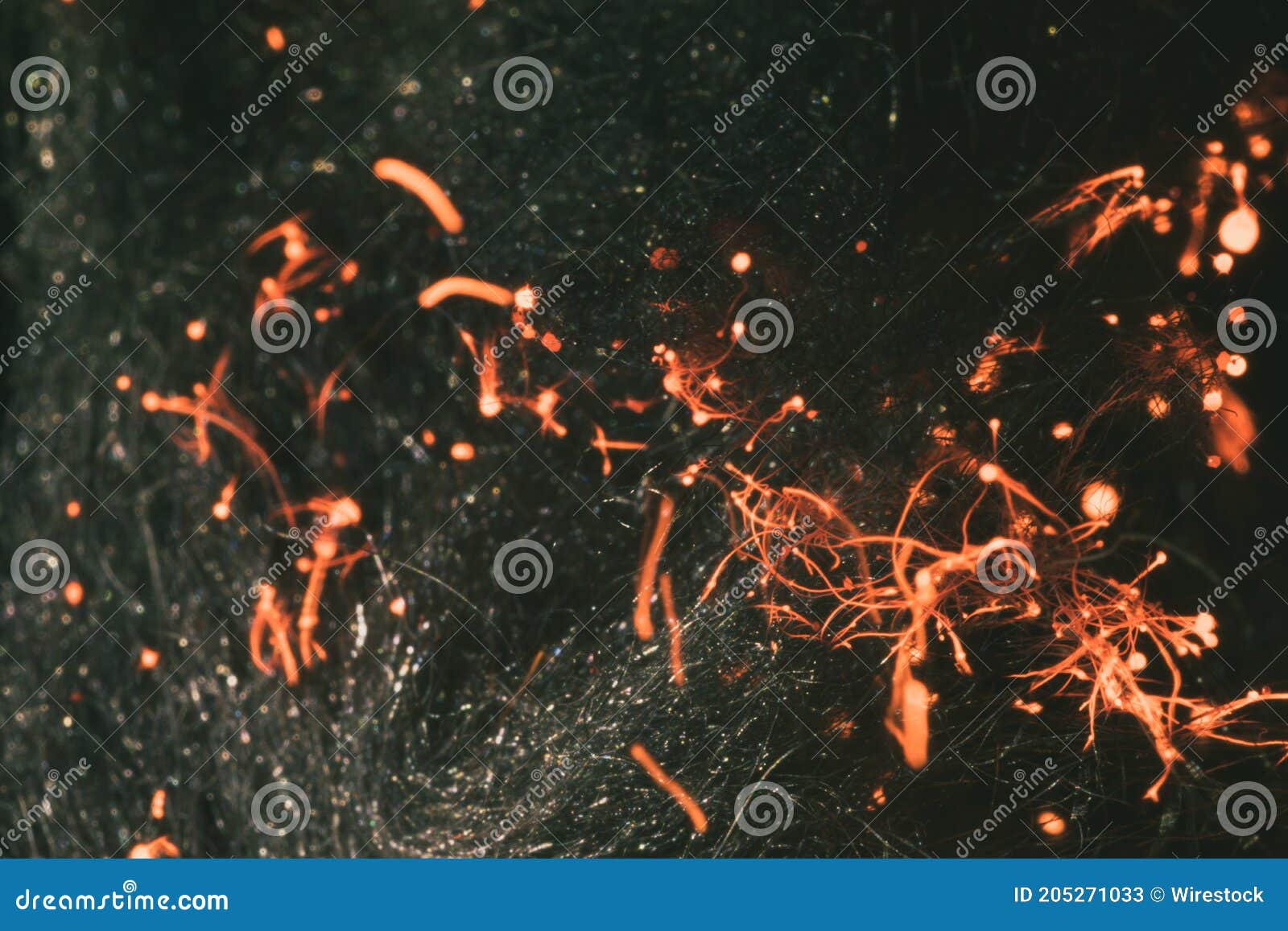 Texture Background with Sparkling Lights Stock Image - Image of shiny ...