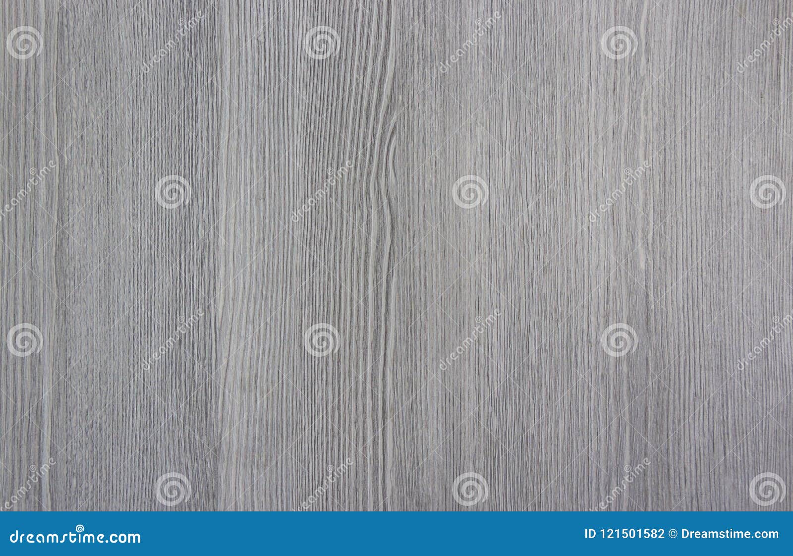 Texture Background Tree Array Brushed Gray Line Saw Stock Photo - Image ...