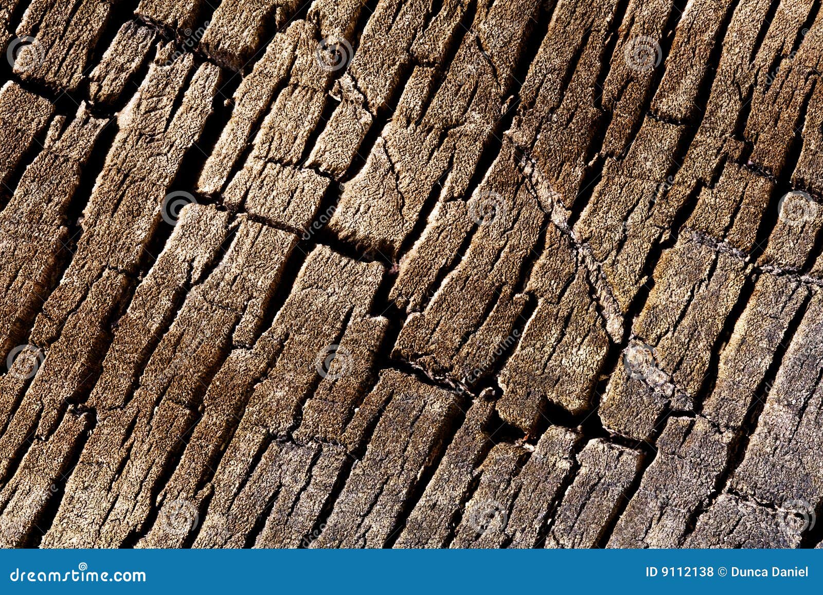 Texture Background - Tree Cracked Bark Stock Photo - Image of crackle ...