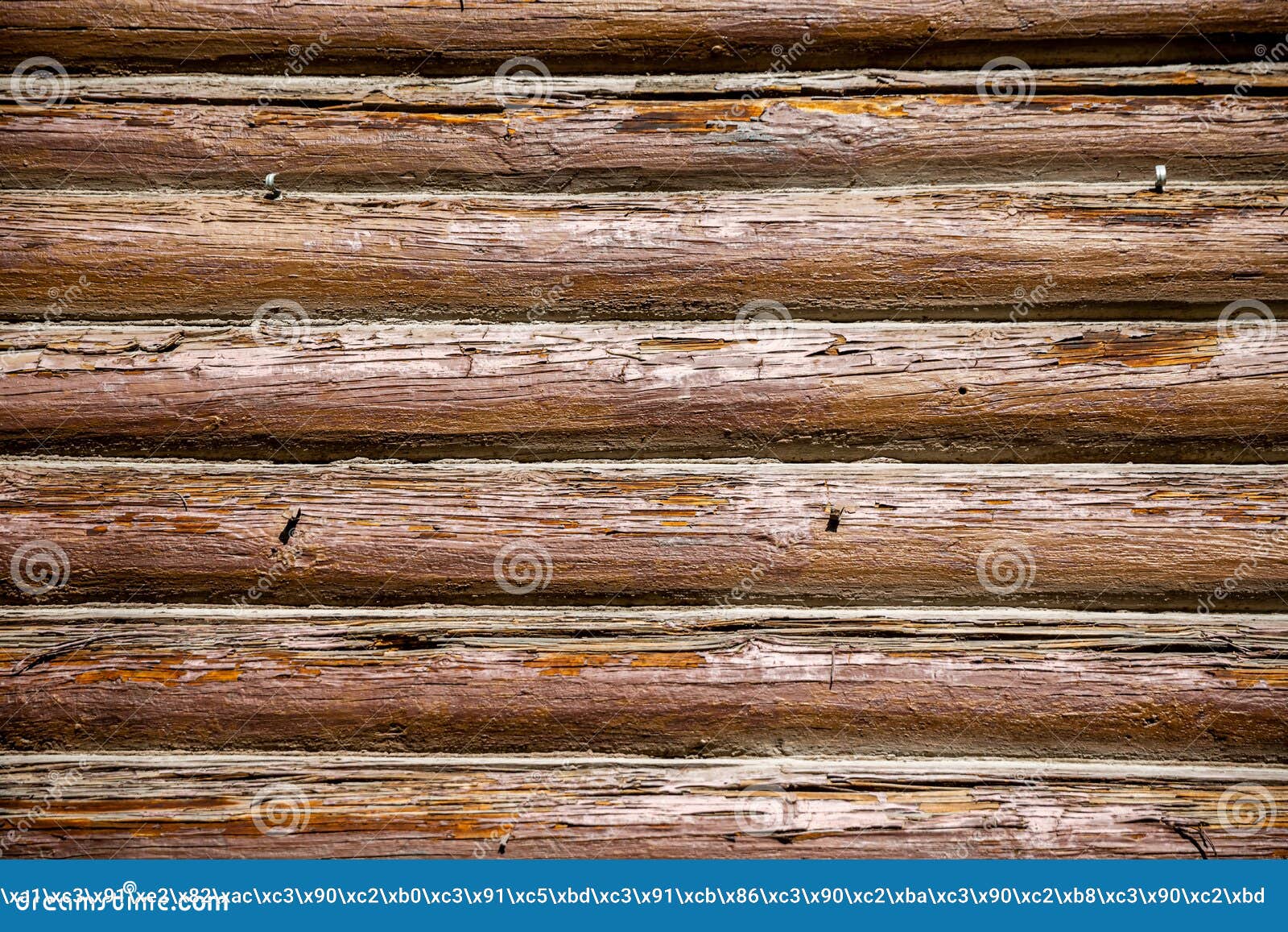 Texture Background Tree Logs Horizontal Brown Stock Photo - Image of ...