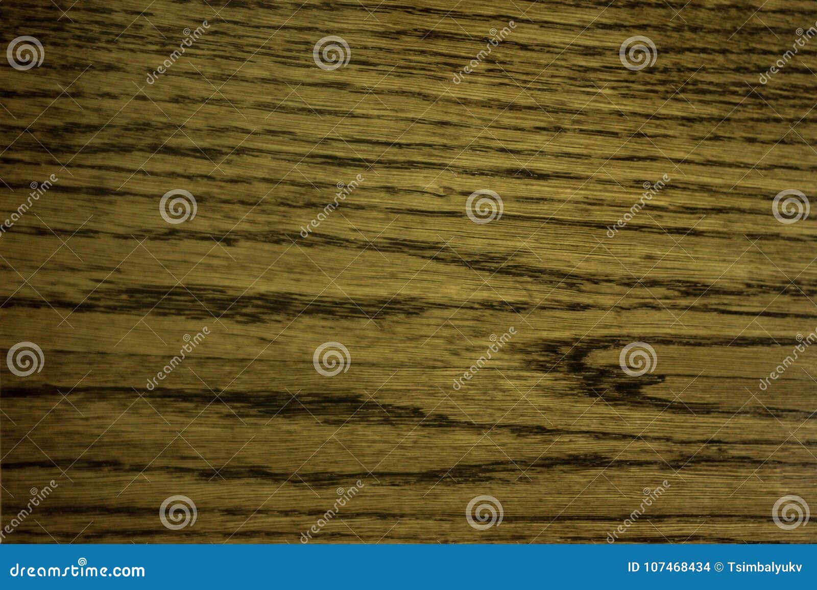 Texture Background Tree Slit Striped Shrewish Stock Photo - Image of ...