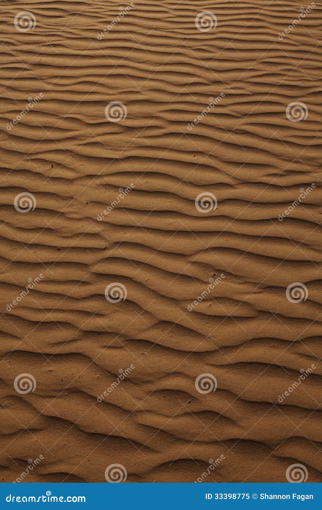 Texture Background of Wind Pattern on Sand Dunes, Full Frame Stock ...