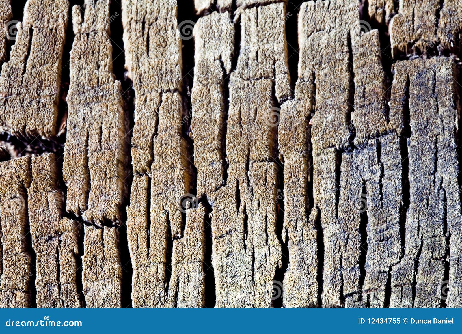 Texture Background of Wood and Cracks Stock Image - Image of close ...