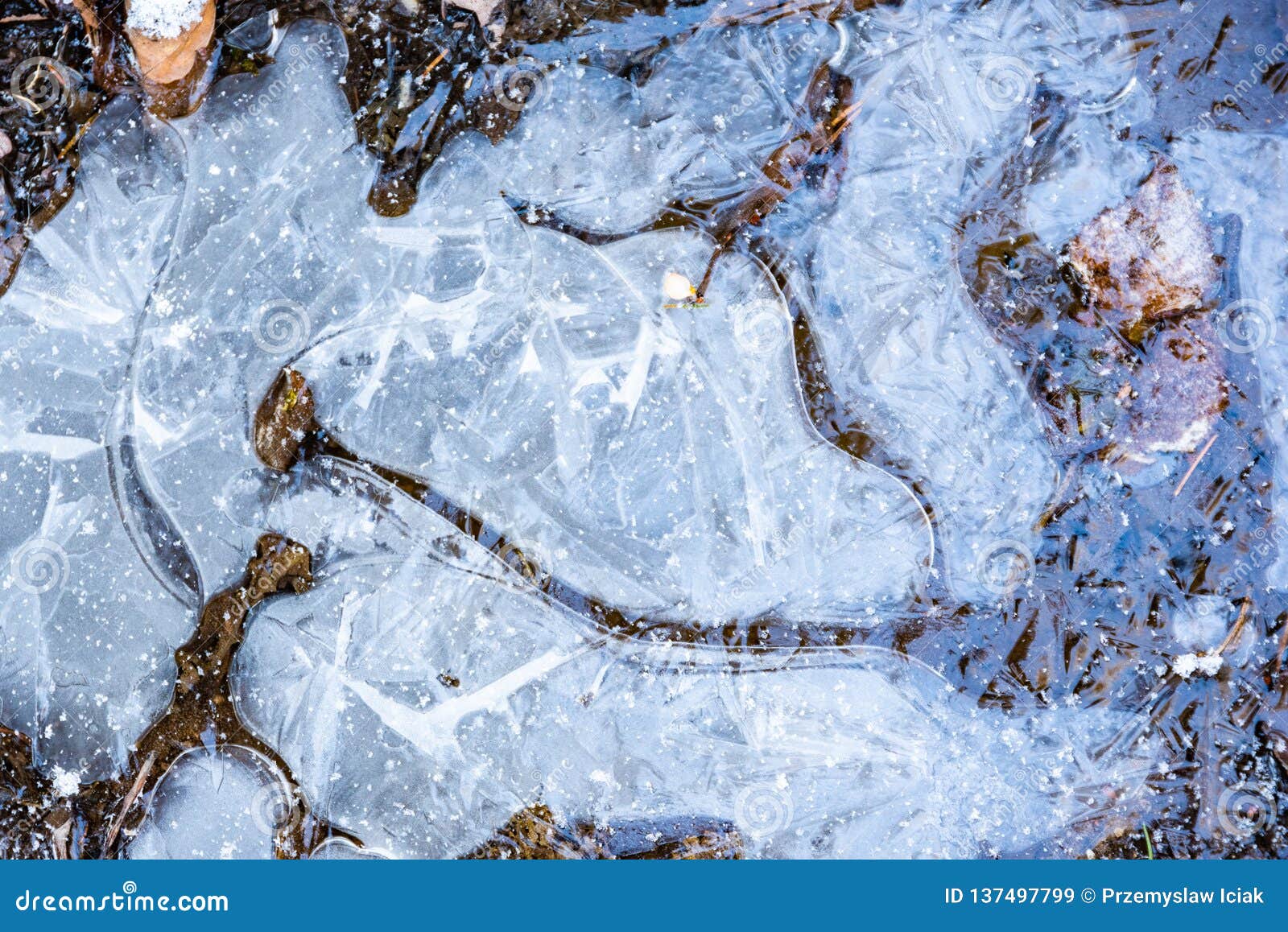 Texture, Backgrounds, Abstraction. Frozen Puddle Stock Image - Image of ...