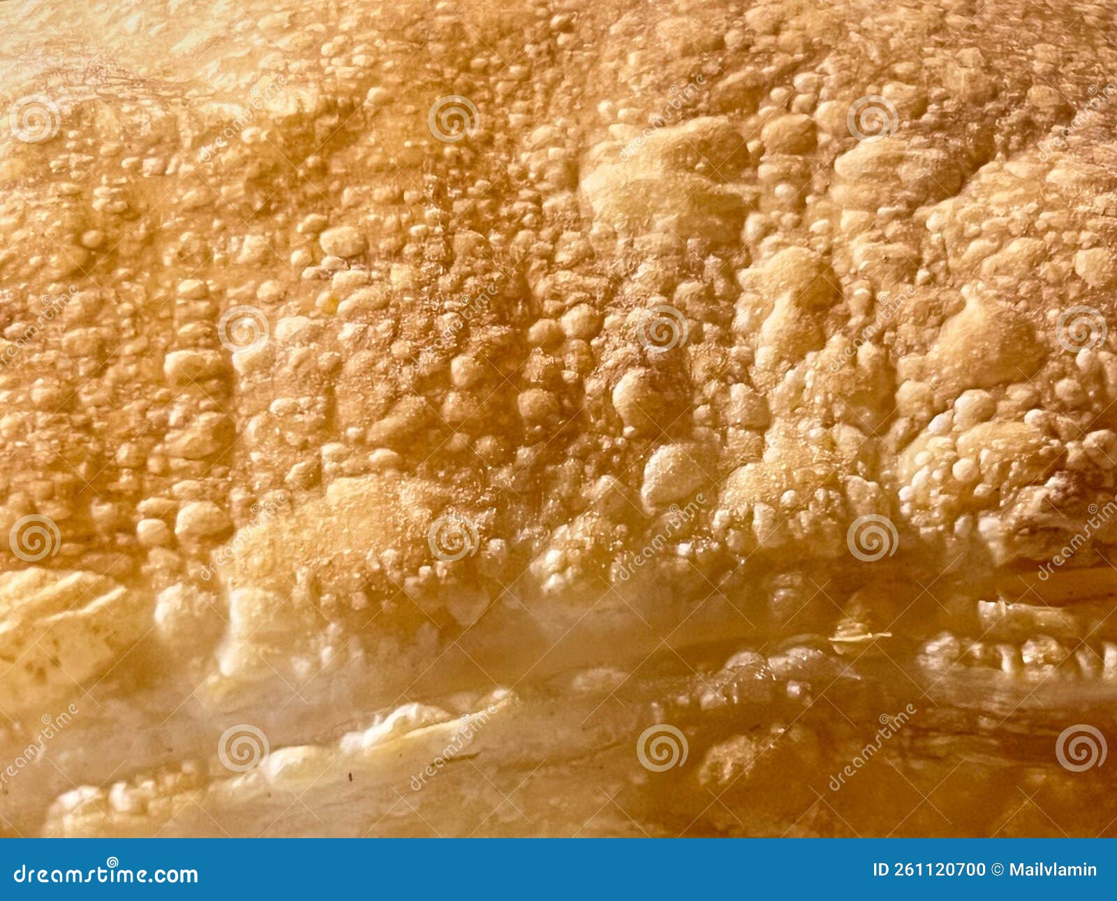 Texture of Baked Surface. Crispy Crust of a Bun or Bread Stock Photo ...