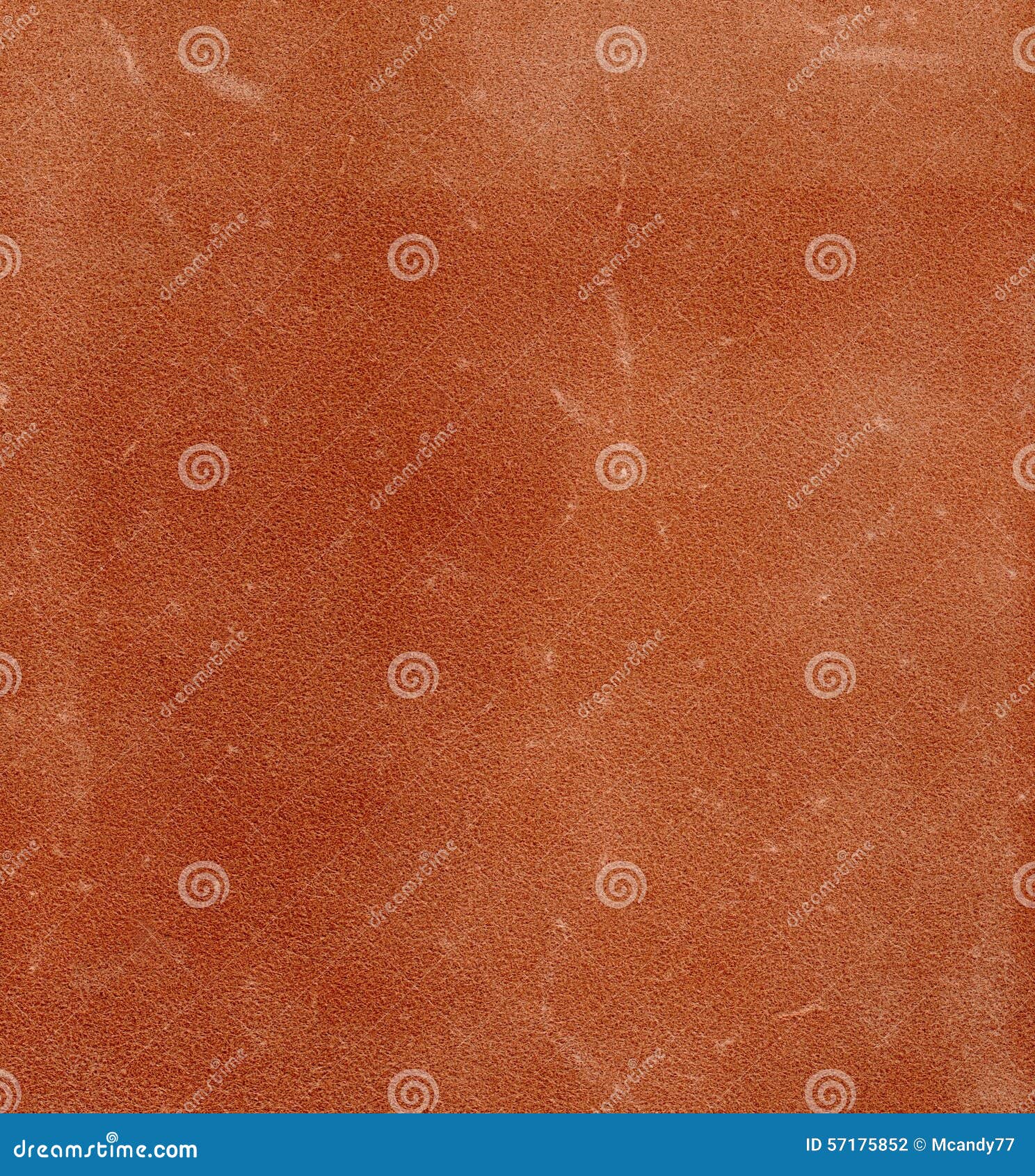 Texture of Bakhtarma Skin a Vegetable Tanning Reddish Color. Stock ...