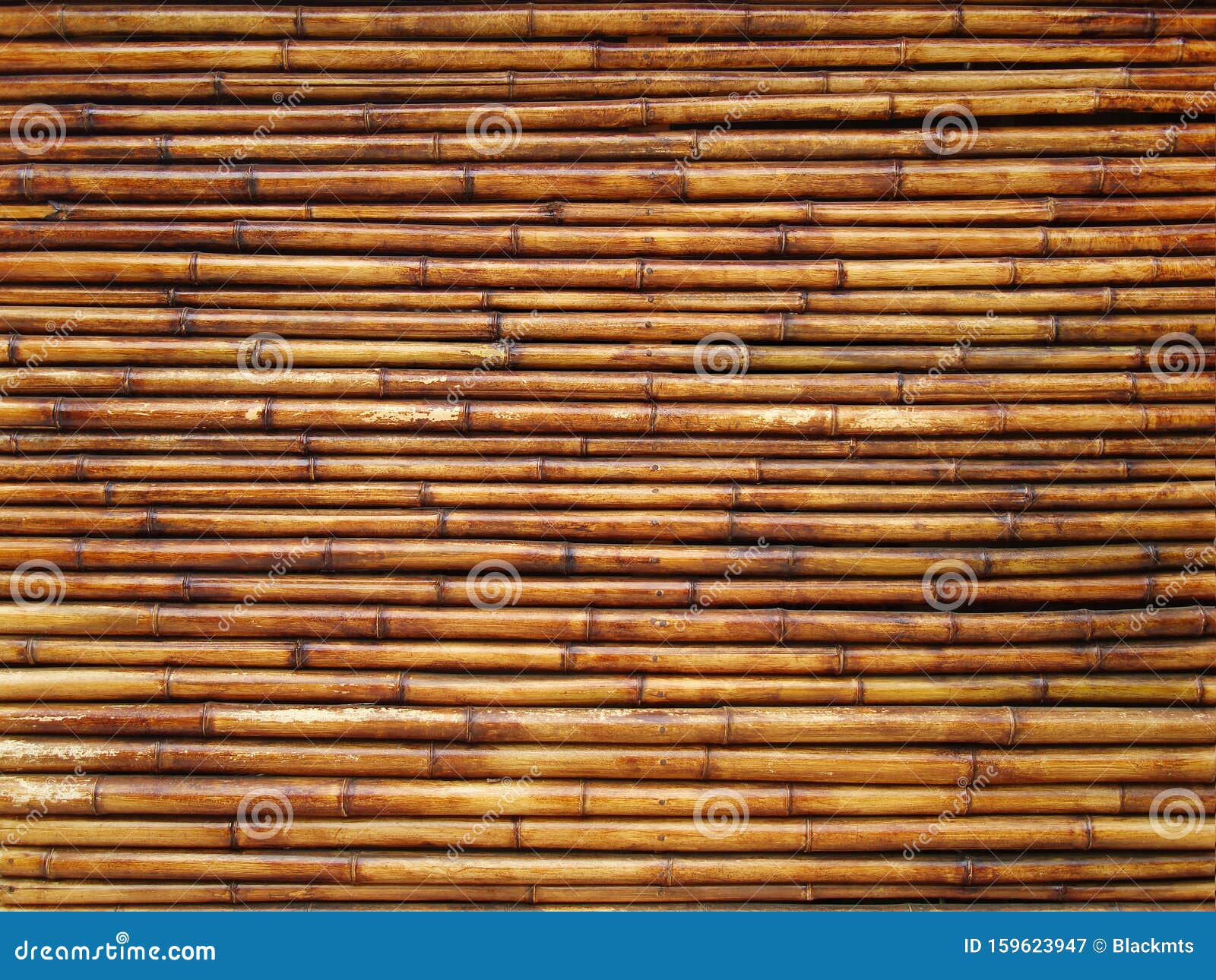 Texture of Bamboo Stalks Wall Stock Image - Image of design, brown ...
