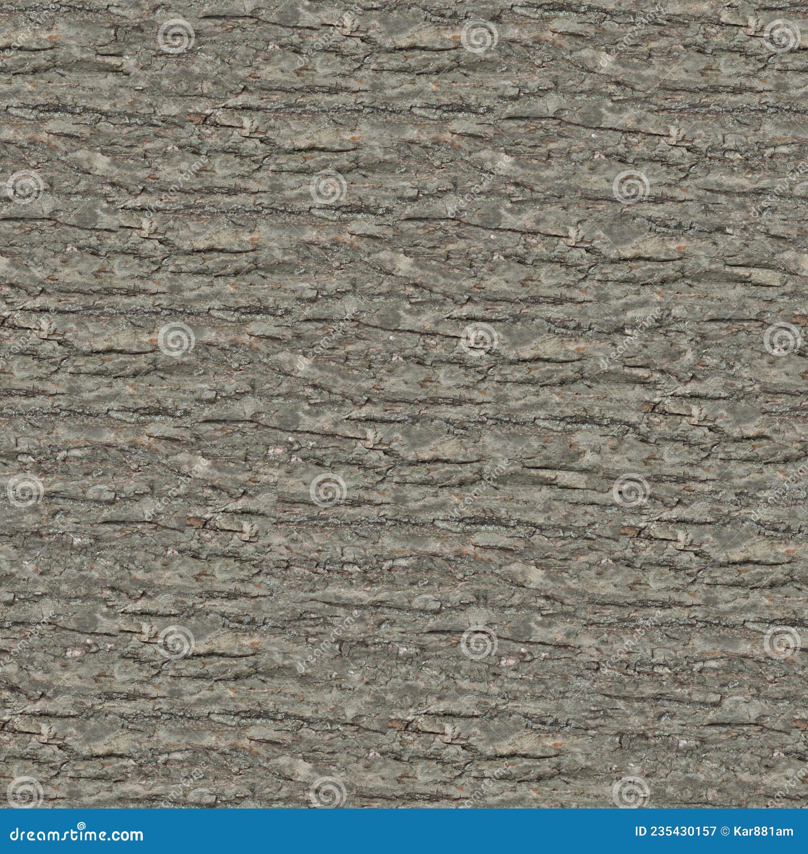 Texture Bark 4K High Quality Stock Image - Image of rugged, design ...