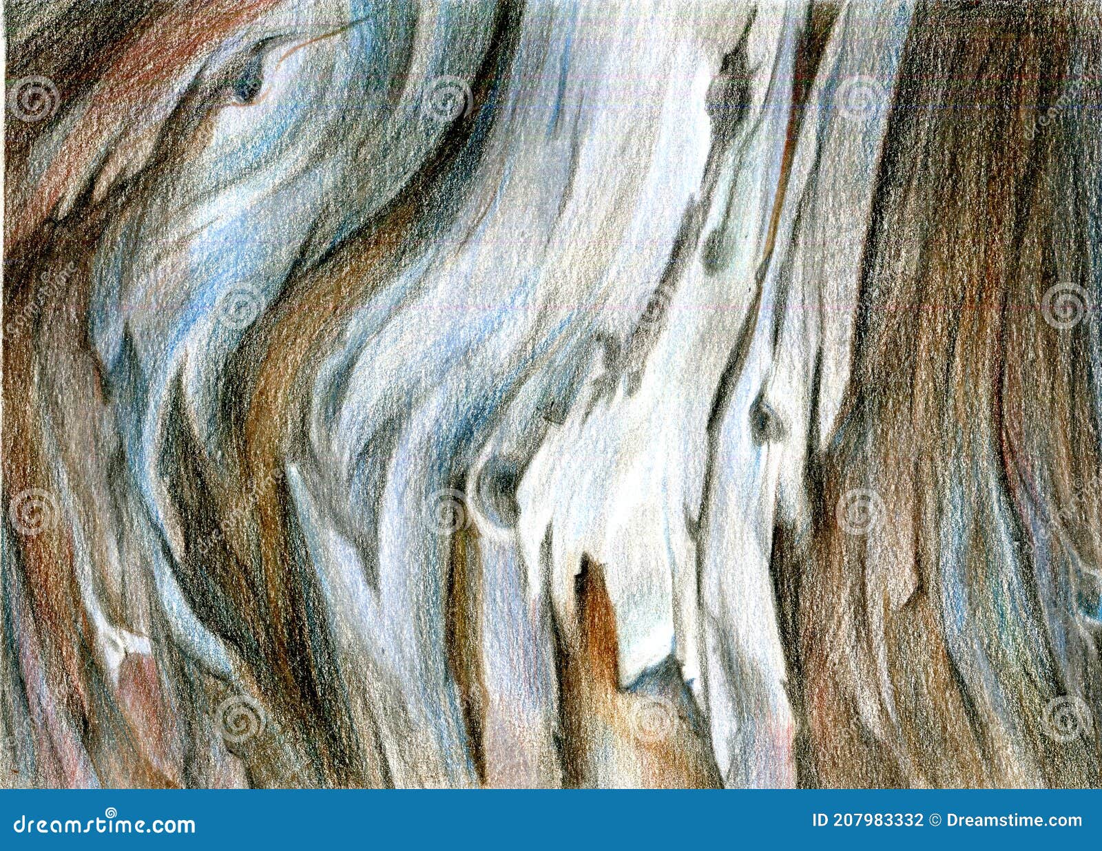 Texture of the Bark of an Old Tree Hand Drawn with Colored Pencils ...