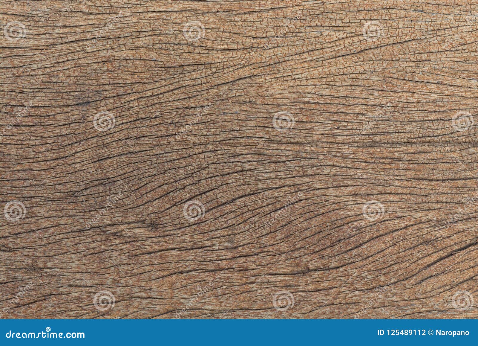 Texture of Bark, Wood Grain Background Stock Photo - Image of empty ...