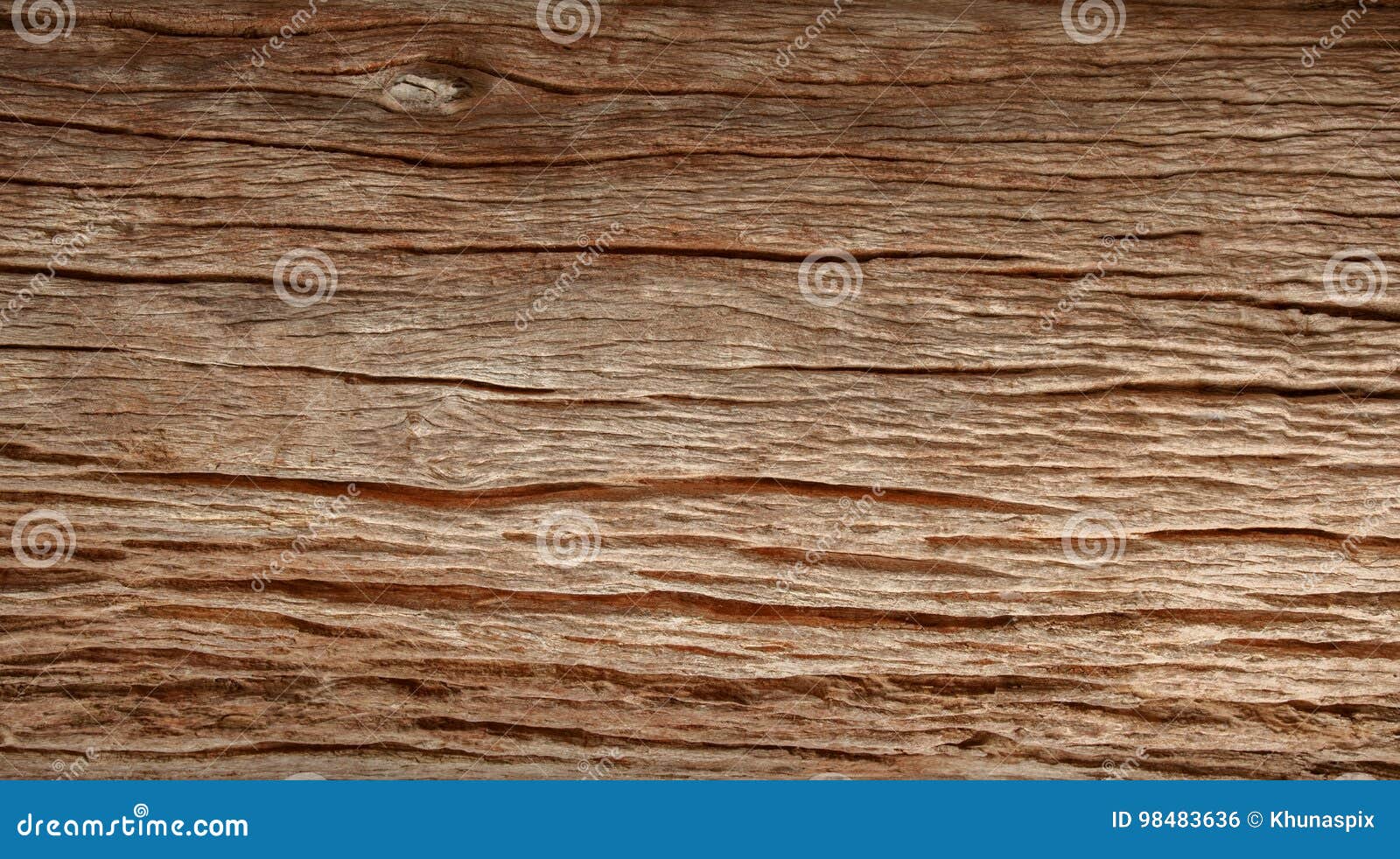 Texture of Bark Wood Use As Natural Background Stock Photo - Image of ...
