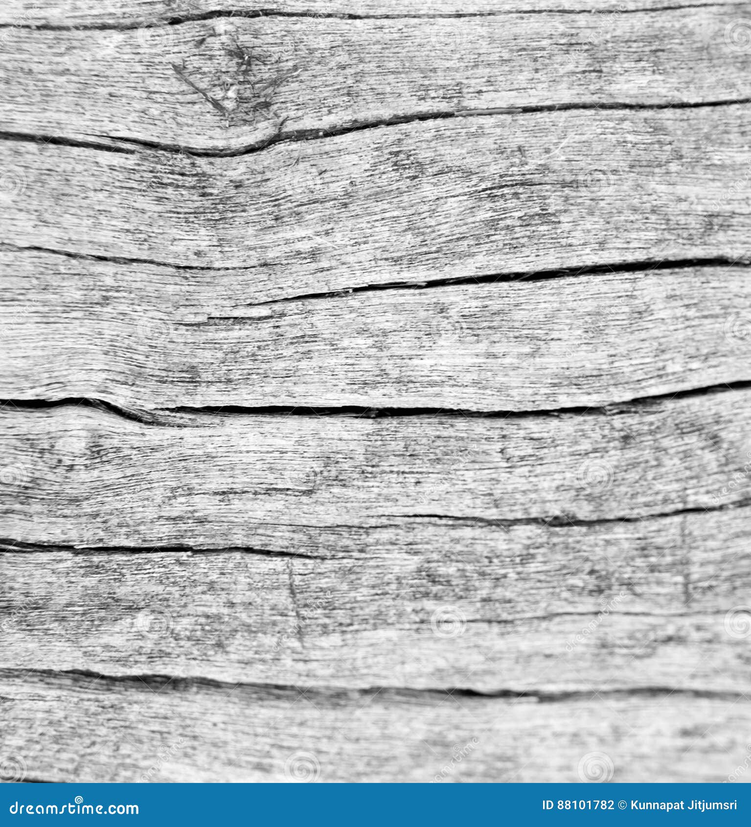 Texture of Bark Wood Use As Natural Background, Surface Eroded B Stock ...