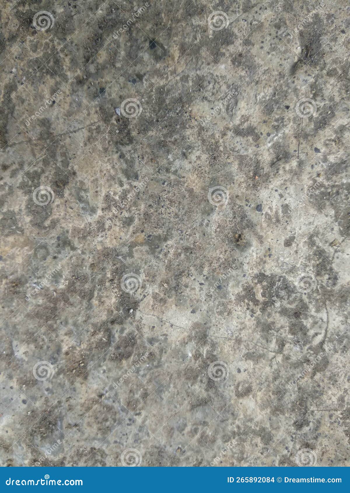 Texture basic of floor stock photo. Image of plaster - 265892084