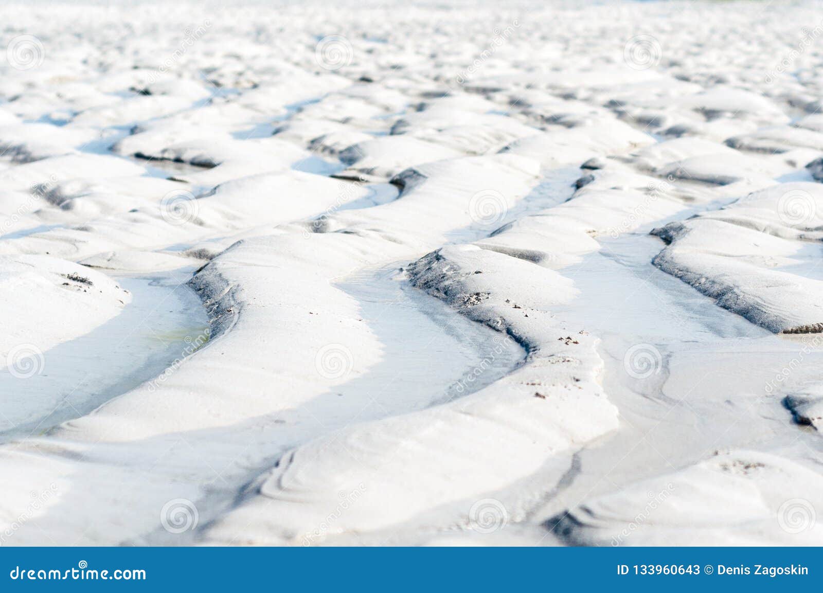 The Texture of the Beach at Low Tide Close-up Stock Image - Image of ...