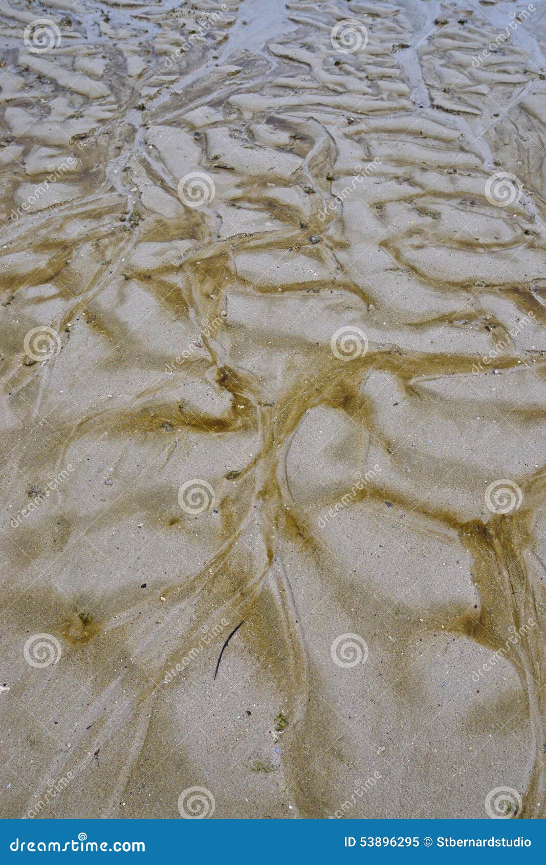 Texture of Beach during Low Tide with Dramatic Vein Pattern Stock Image ...