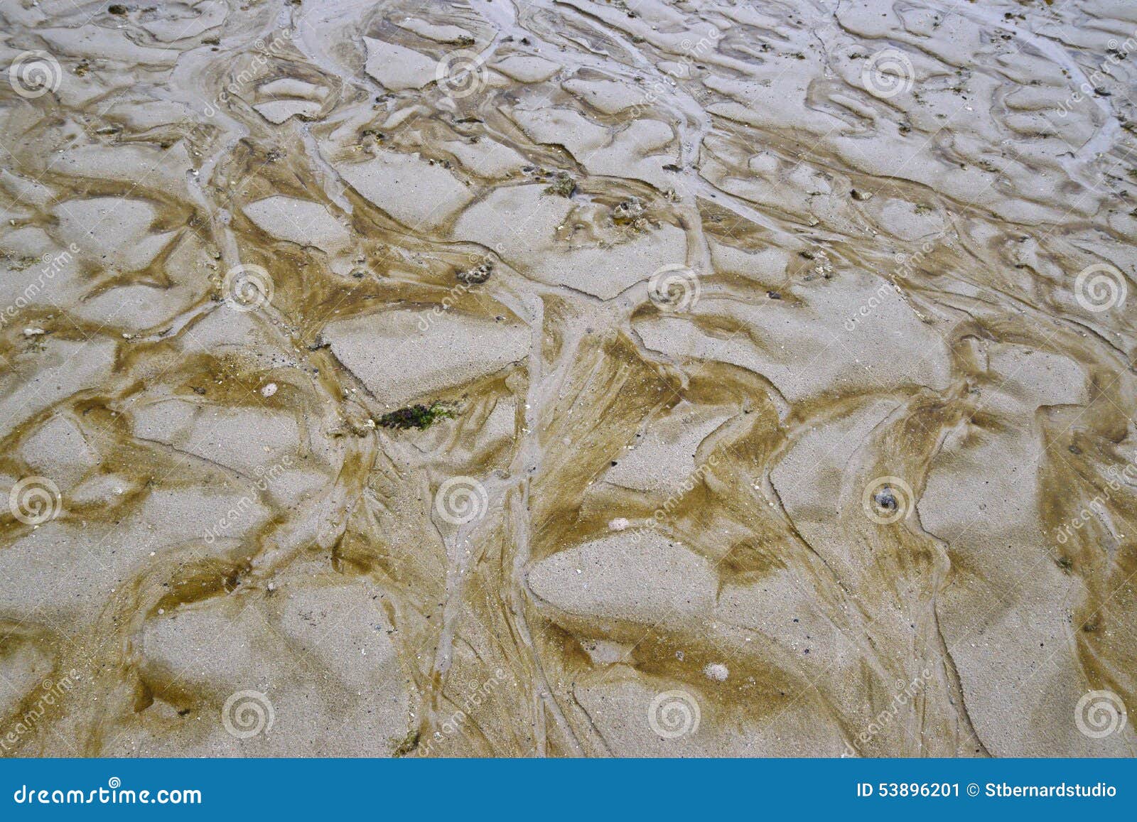Texture of Beach during Low Tide Stock Image - Image of leftover, brown ...