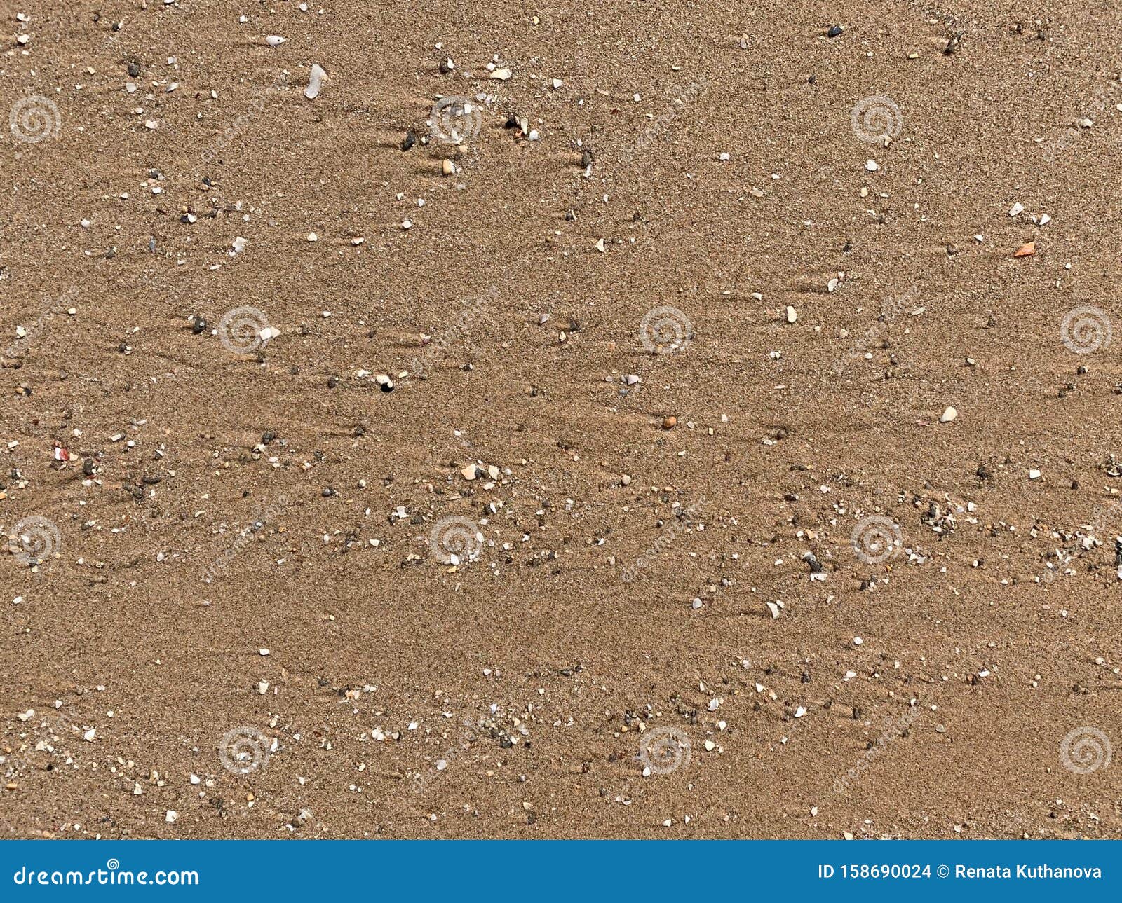Sand And Pebbles Texture Stock Photography | CartoonDealer.com #128495360