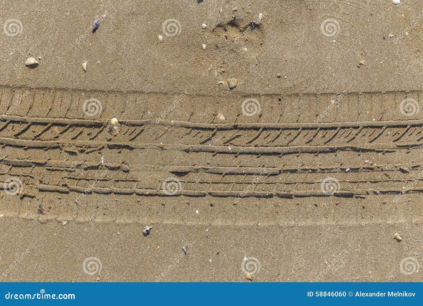 Texture of Beach Sand after Rain Stock Photo - Image of nature, frame ...