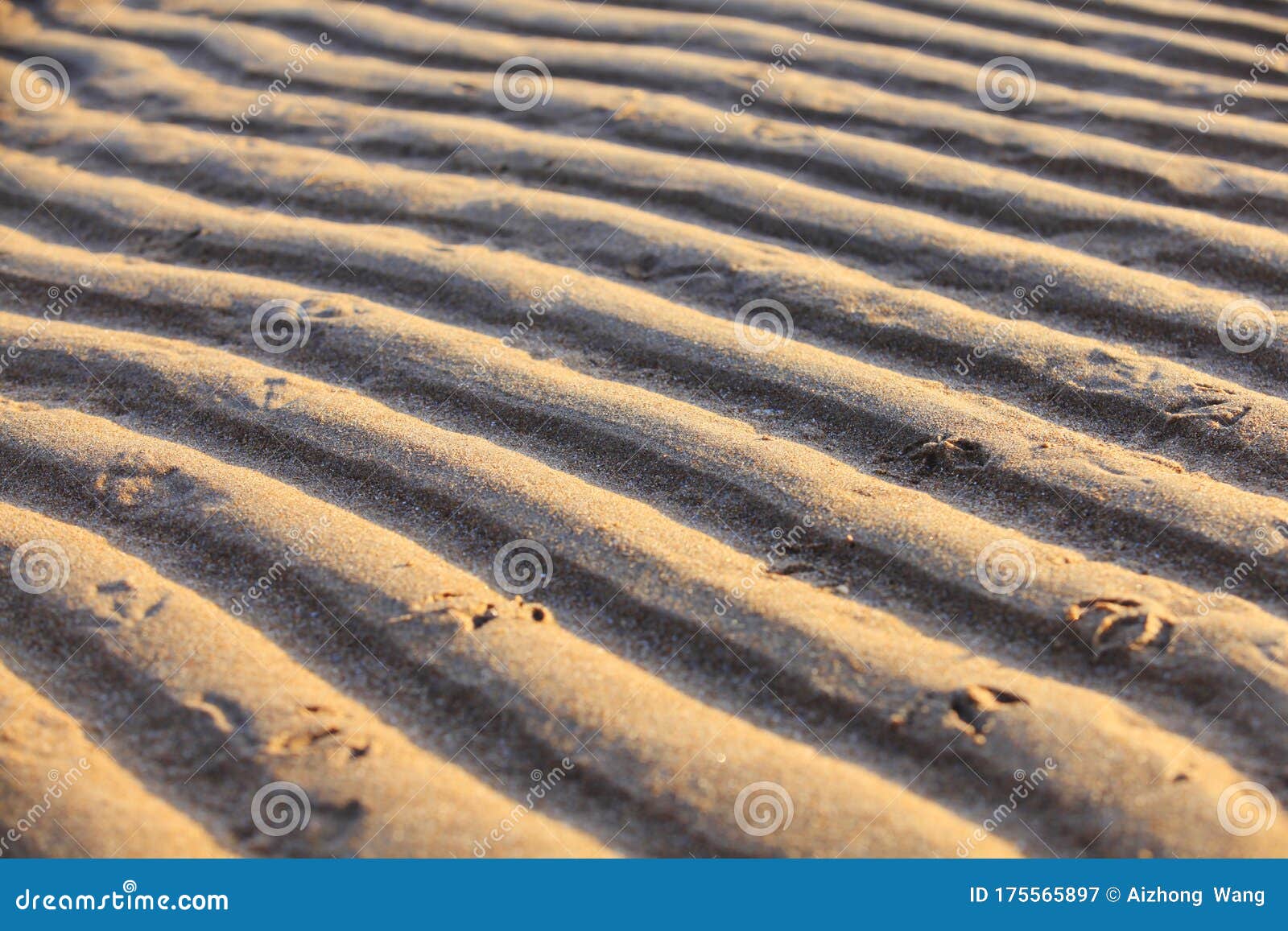 Texture of beach sand stock image. Image of closeup - 175565897