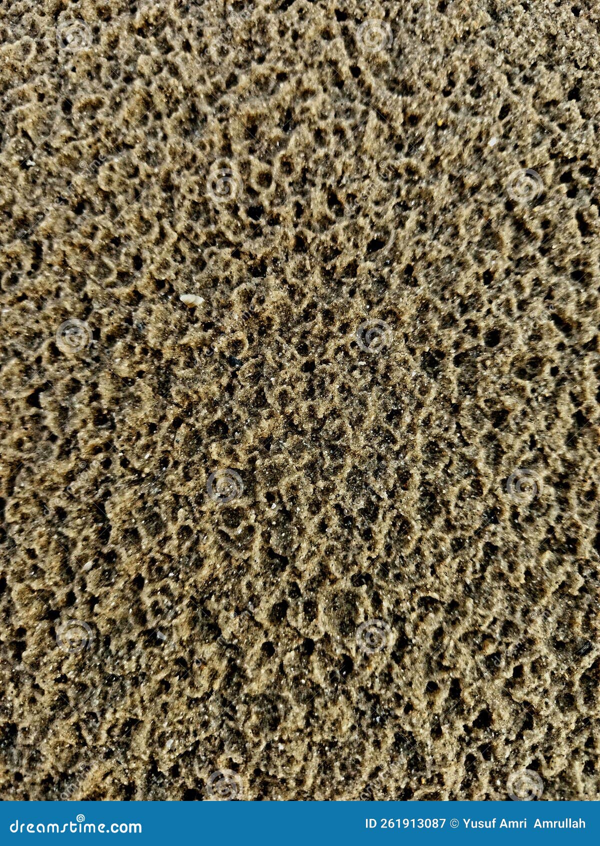The Texture of Beach Sand is Unique and Brown in Color Stock Image ...