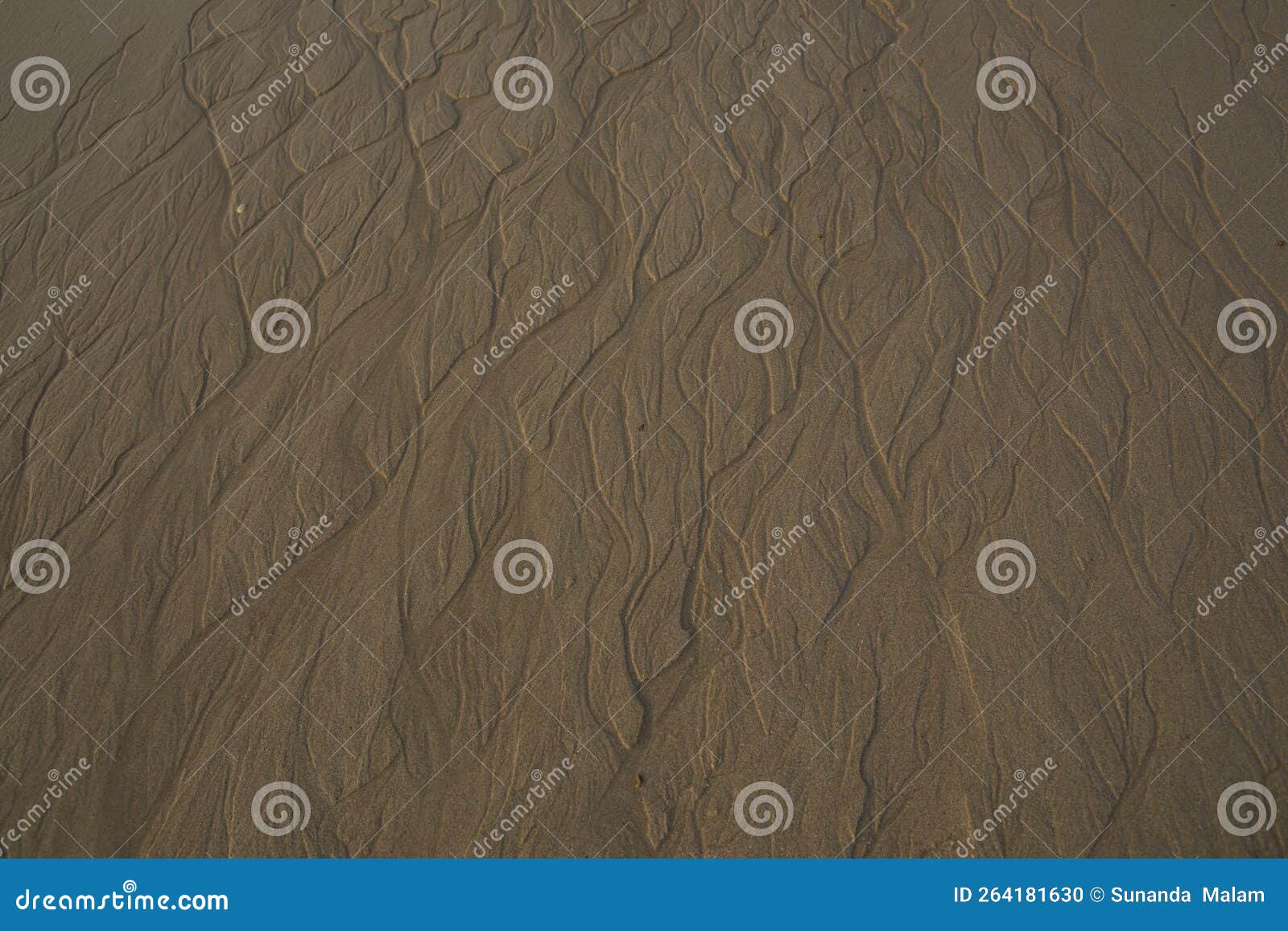 Wavy Pattern on Wet Sandy Beach. Stock Photo - Image of line, texture ...