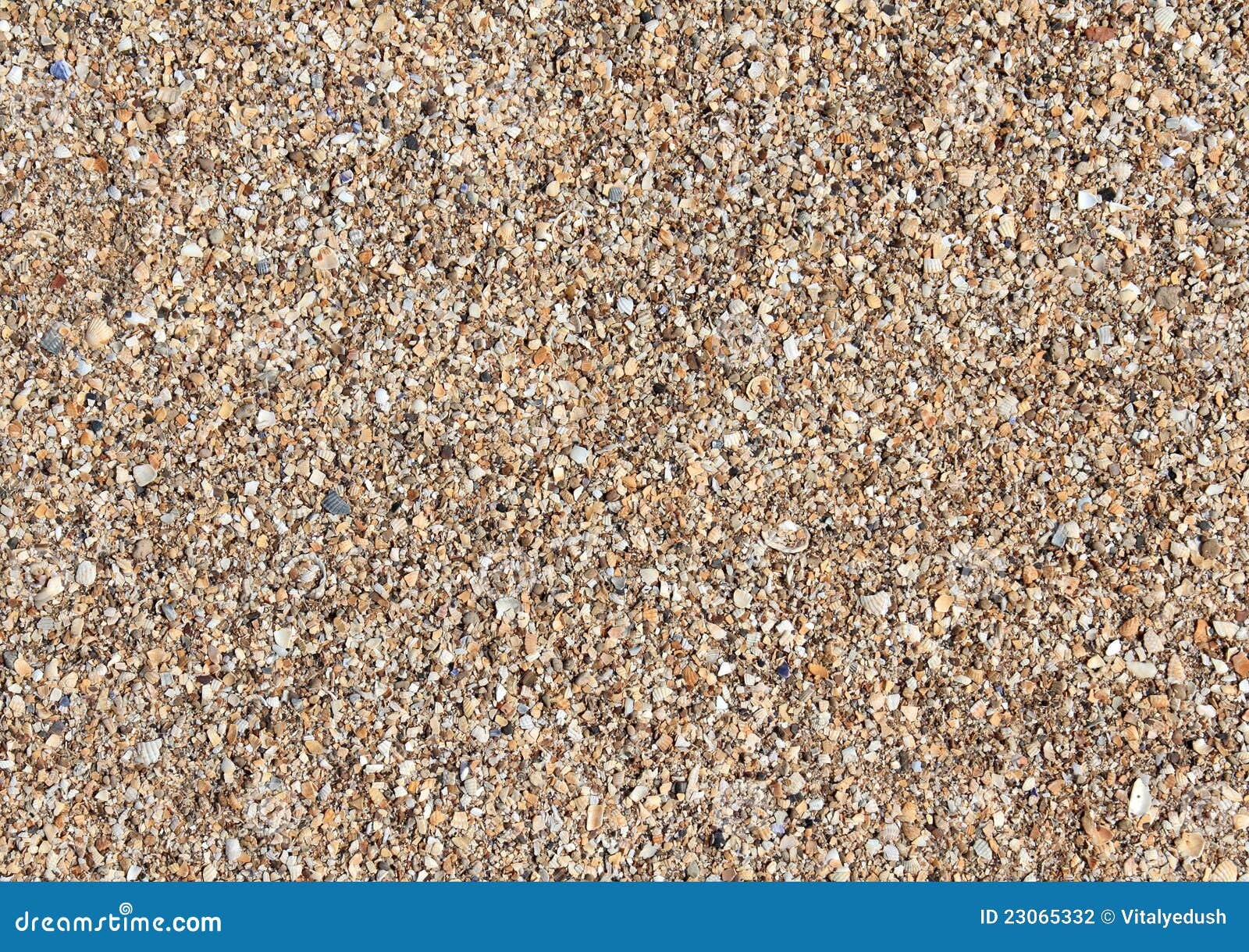 Texture of beach sea sand. stock photo. Image of friability - 23065332