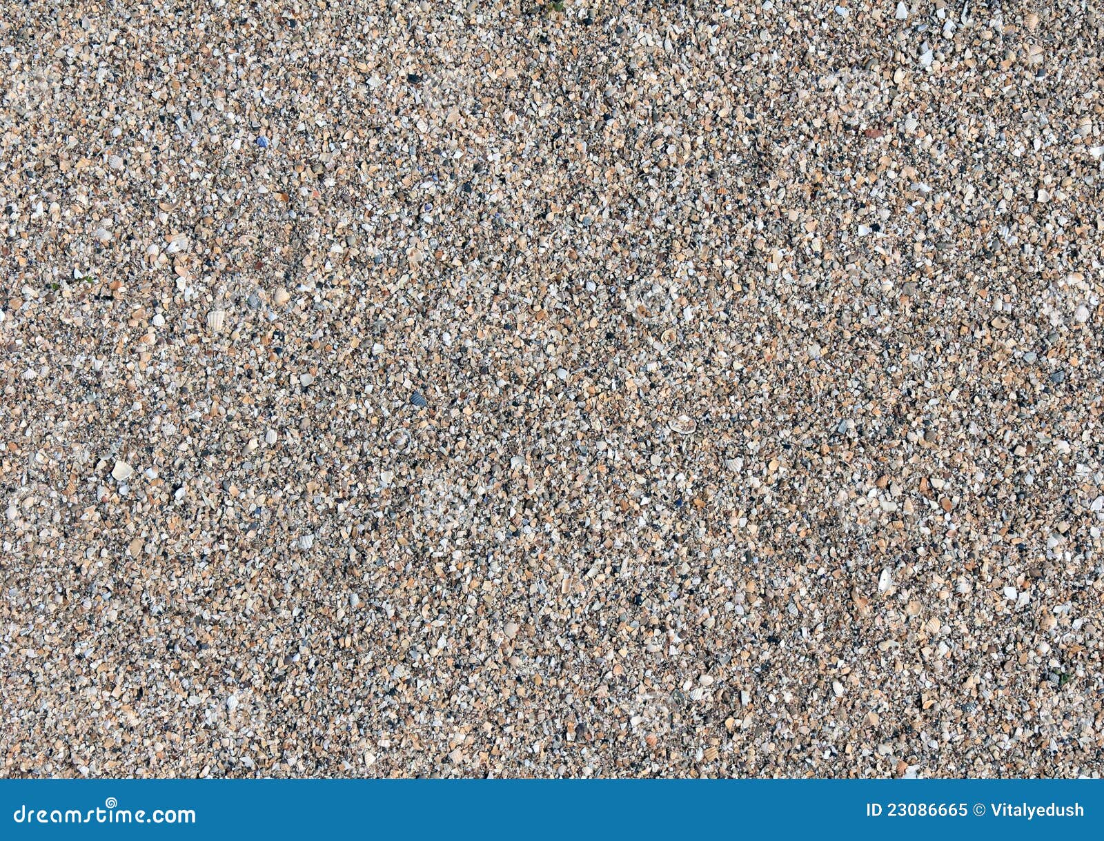 Texture of beach sea sand. stock image. Image of coquina - 23086665