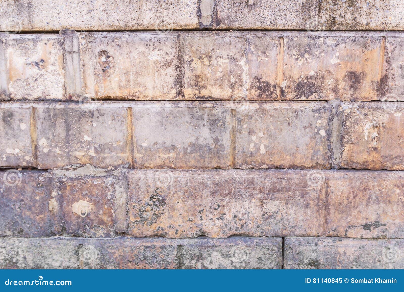 Texture of Beach Side Concrete Retaining Wall Background Stock Image ...