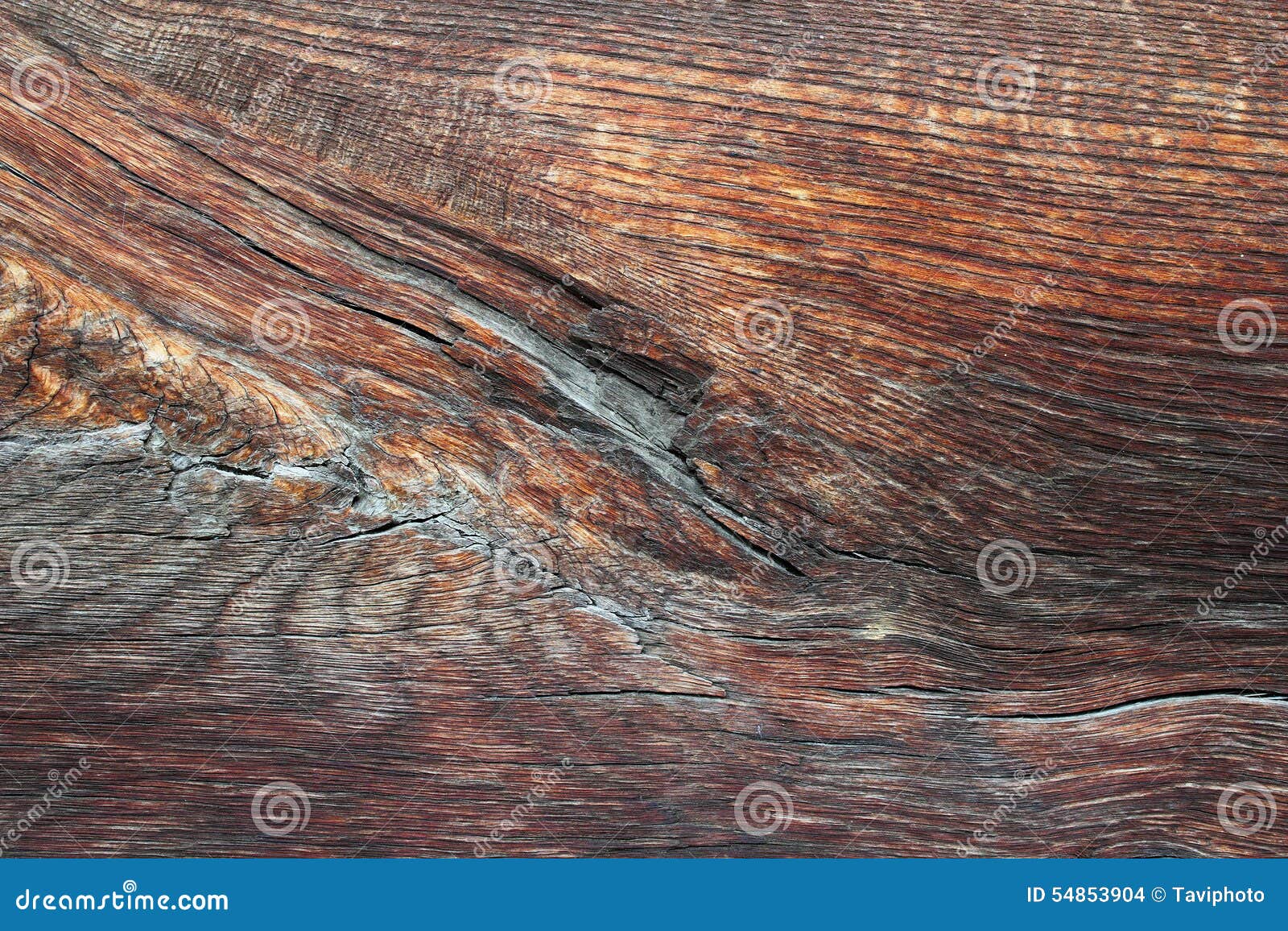 Texture of Beautiful Old Oak Plank Stock Photo - Image of grain ...
