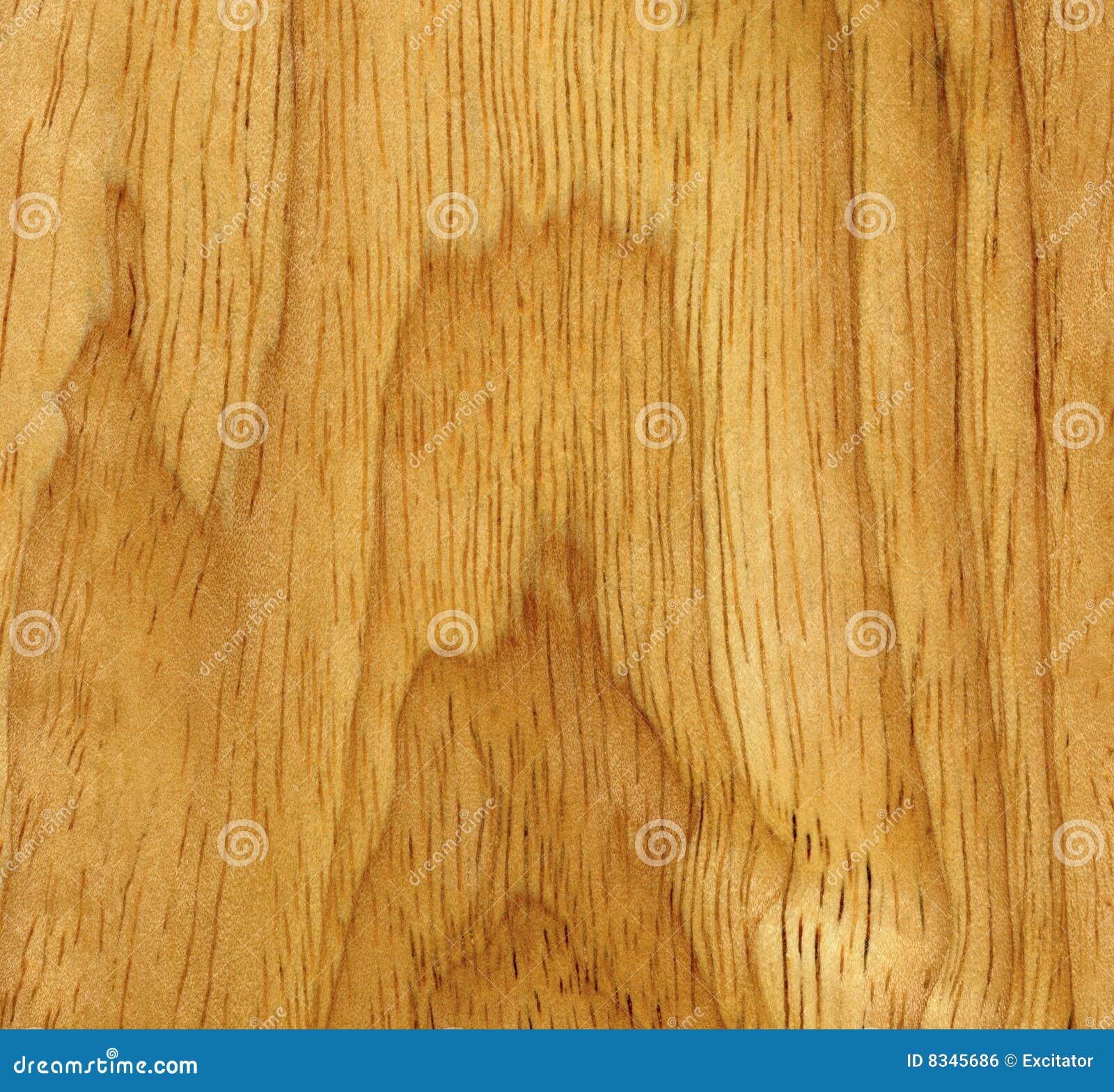 Texture of the beech stock photo. Image of woods, detail - 8345686