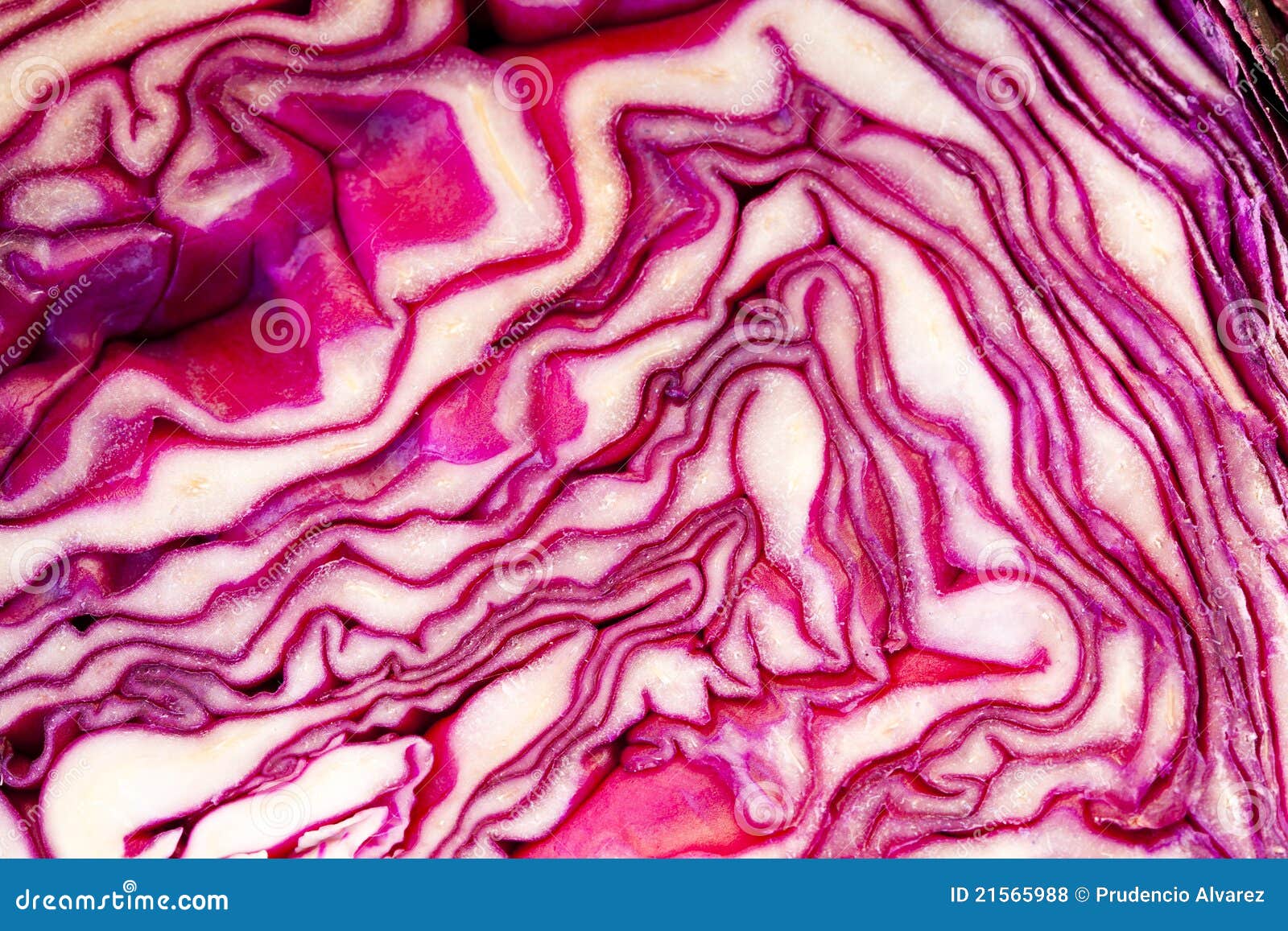 Texture of the beet stock photo. Image of cooking, isolated - 21565988