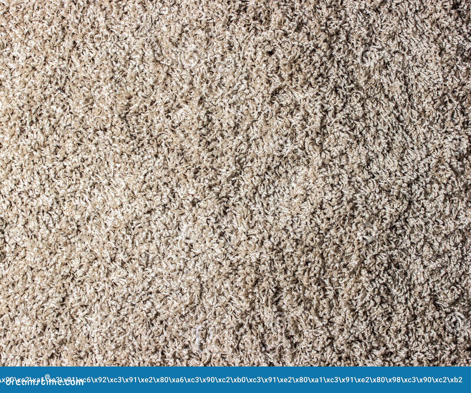 Texture of beige carpet stock image. Image of surface - 145422707