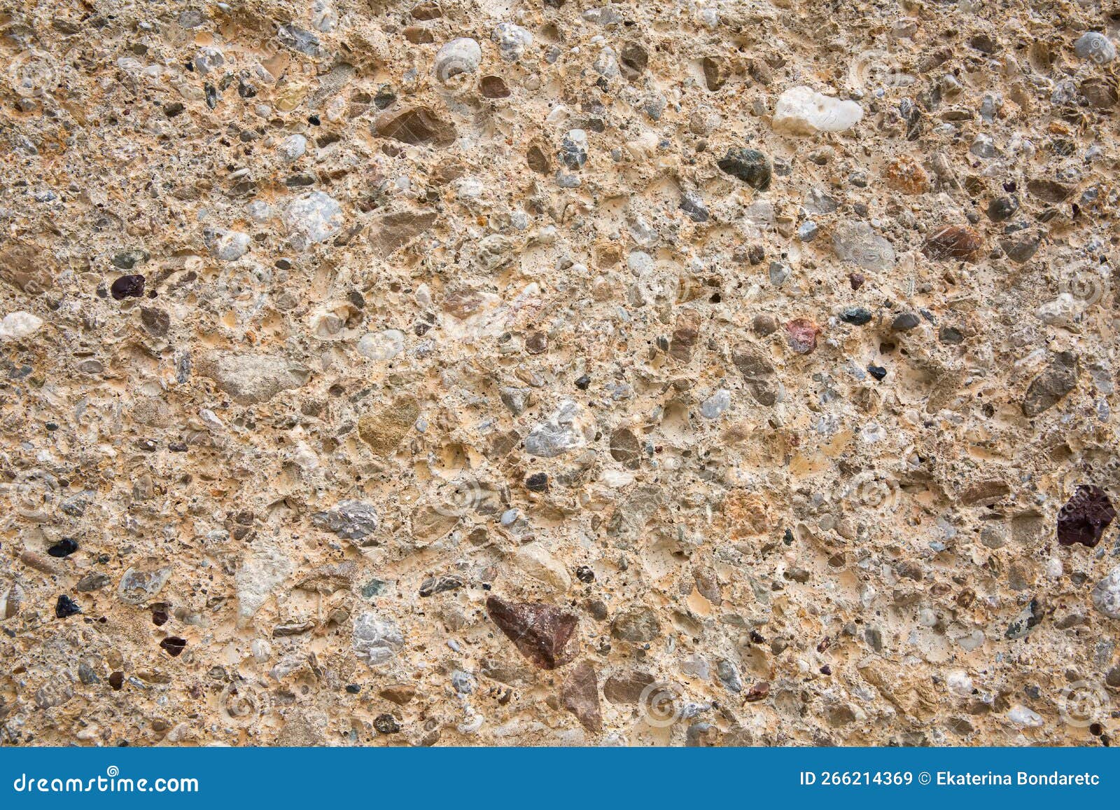 Texture of Beige Porous Stone Surface. Stock Image - Image of relief ...
