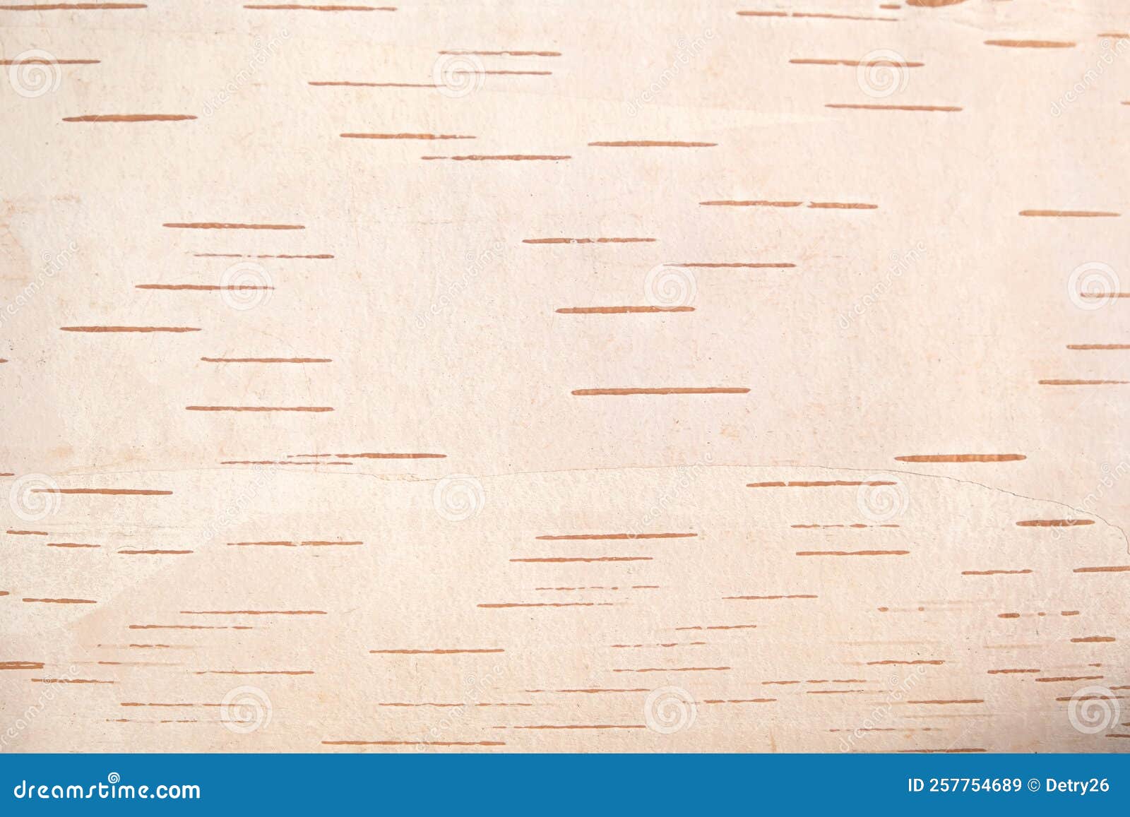 The Texture of Birch Bark. Background of Birch Bark. Red Birch Bark. the Texture White Birch ...