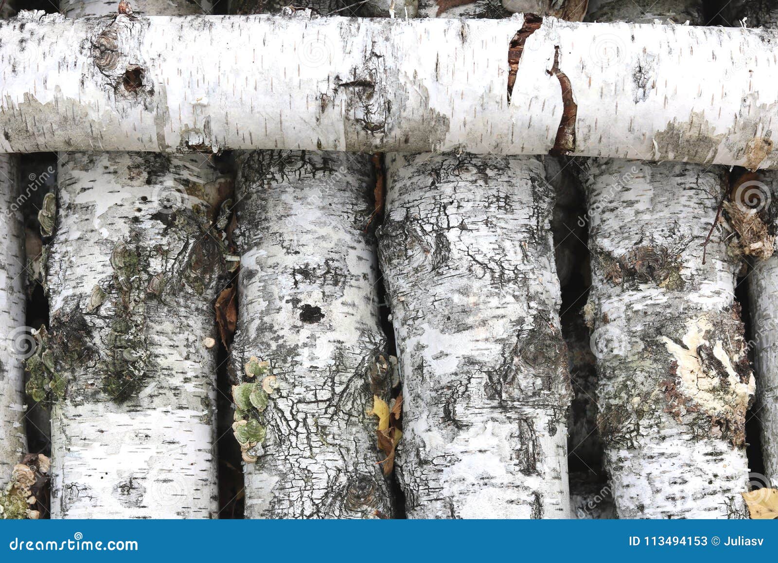 Texture of Birch Bark on Birch Logs Stock Image - Image of freshness ...