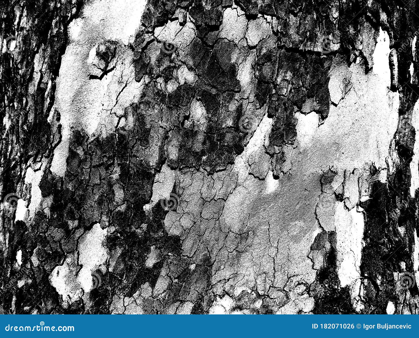 Monochrome Texture. Tree Bark Bitmap Texture. Stock Photo - Image of ...