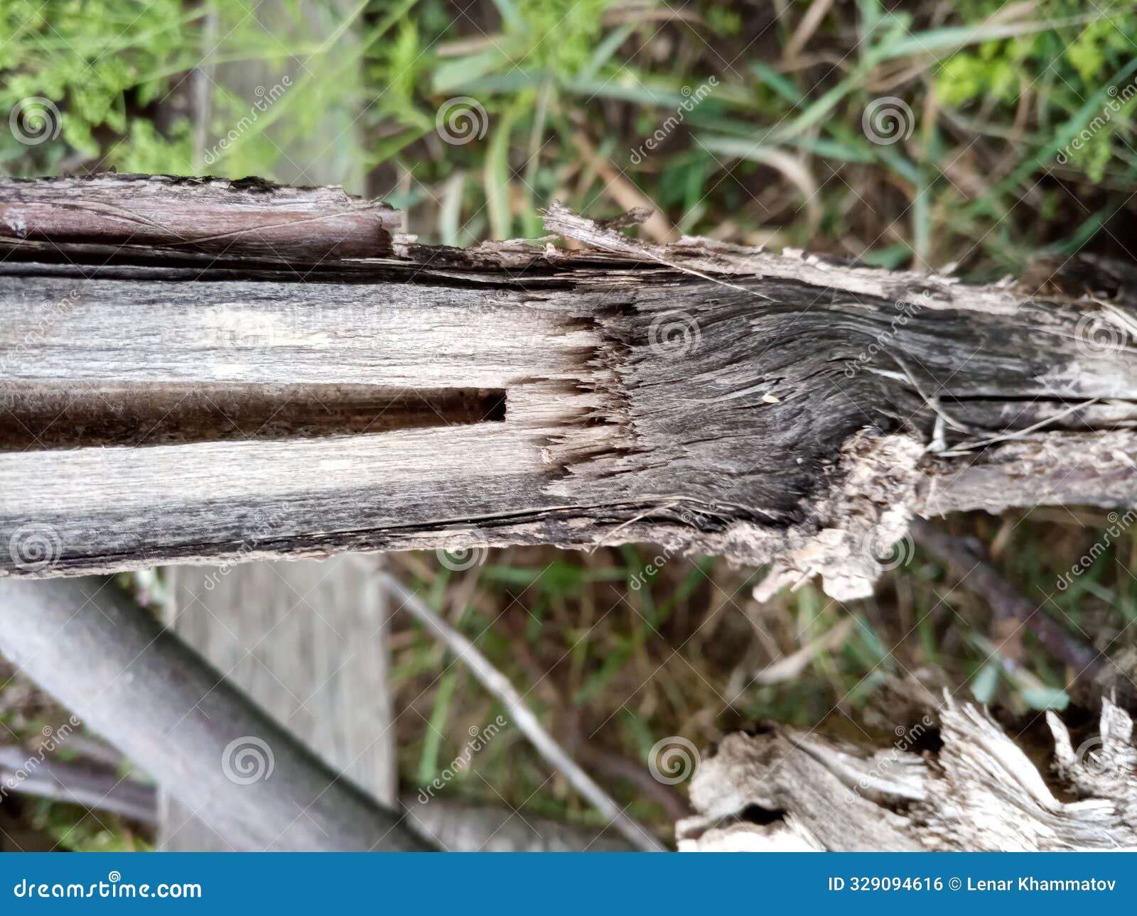Texture and Bizarre Pattern of an Old Broken Off Tree Branch Darkened by Time with a Knot Stock ...