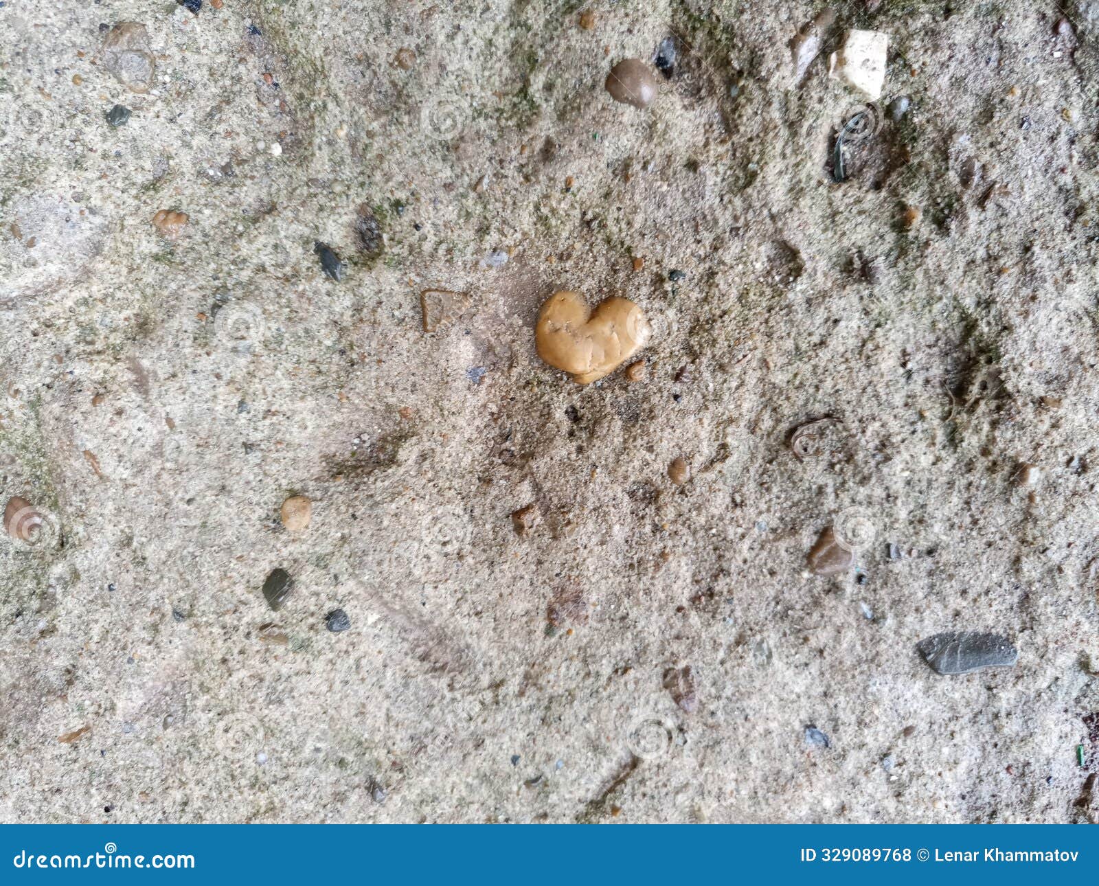 Texture and Bizarre Pattern of the Surface of an Old Concrete Slab with ...