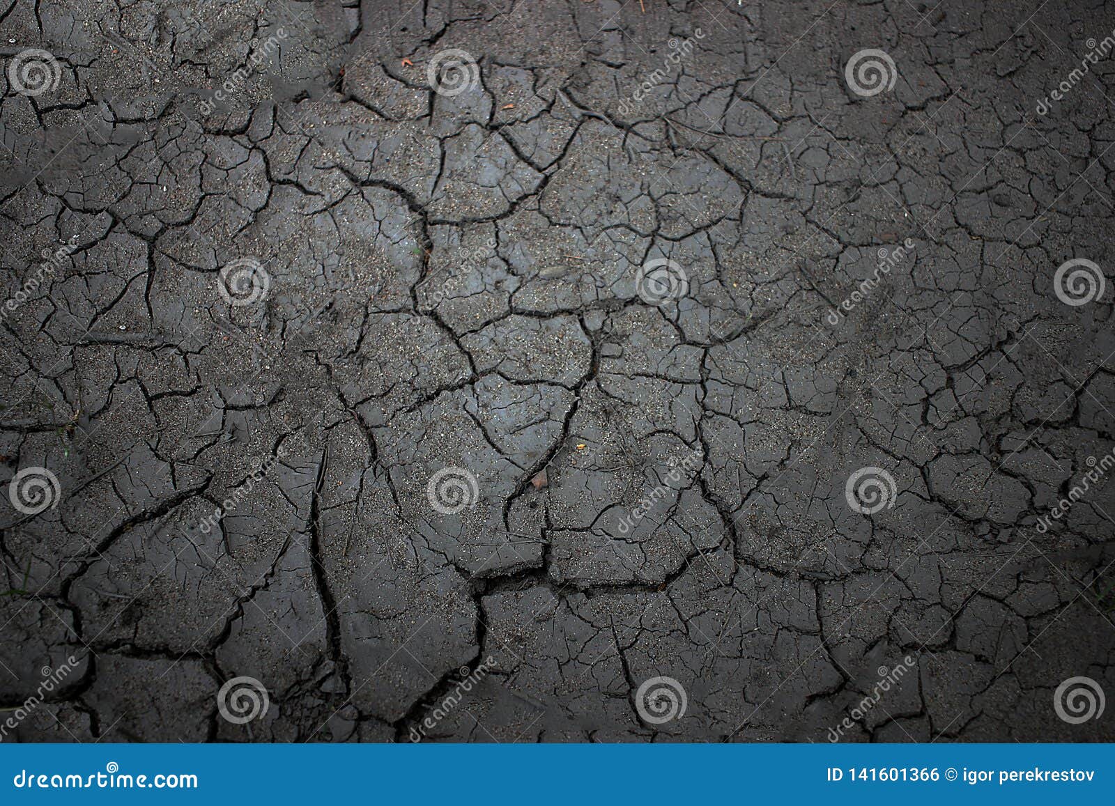 Texture of Black Earth, Cracks on Fertile Land without Rain Stock Photo ...