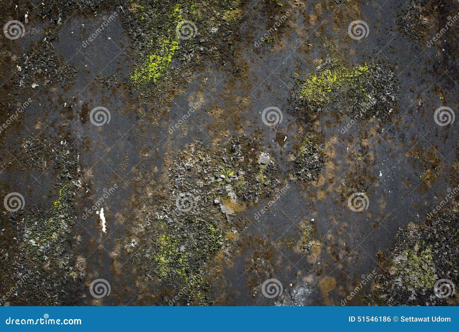 Texture of Black Grunge Concrete and Green Moss. Stock Photo - Image of ...