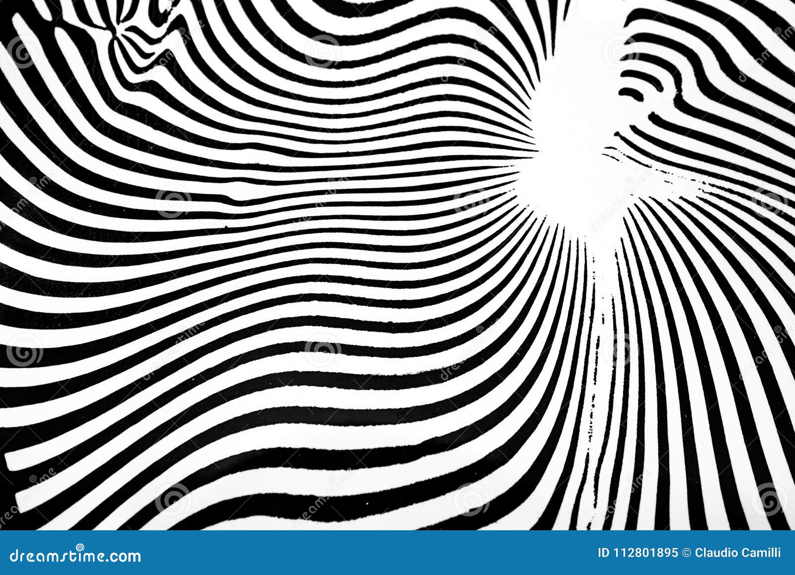 Zebra texture line stock image. Image of animal, curve - 112801895