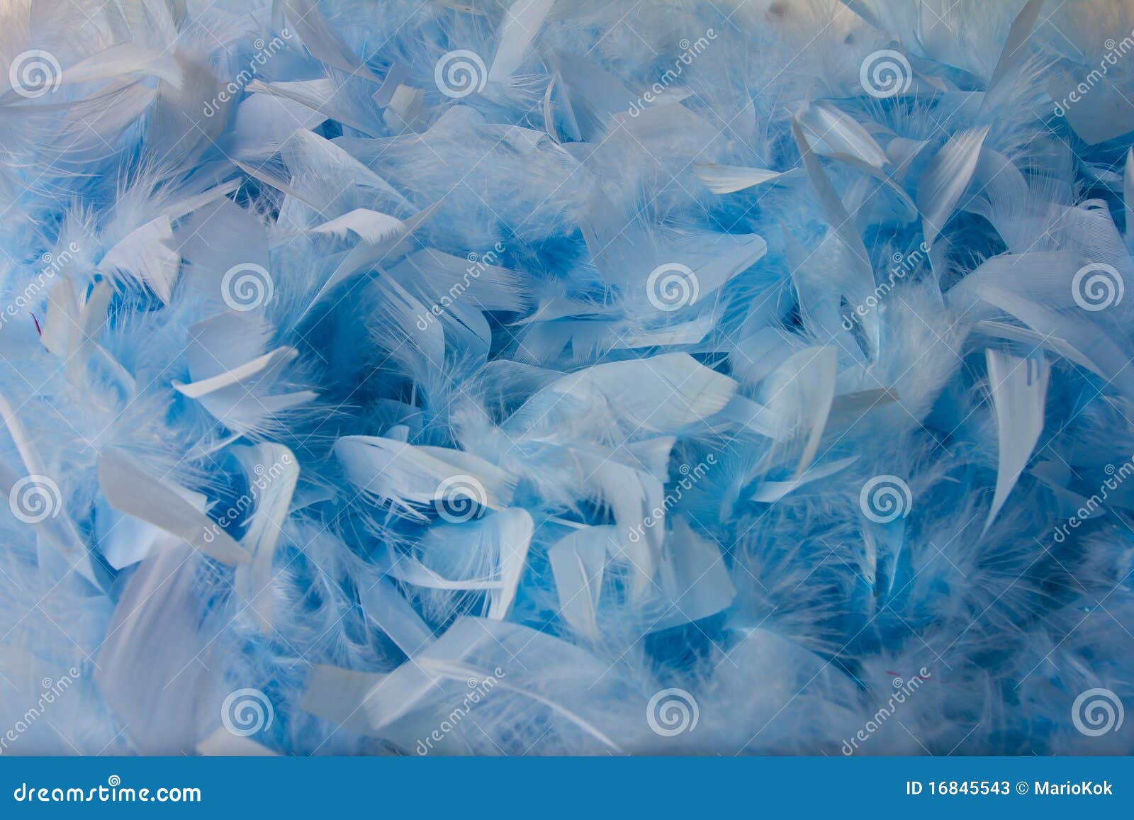 Texture of blue feathers stock image. Image of high, dreaming - 16845543