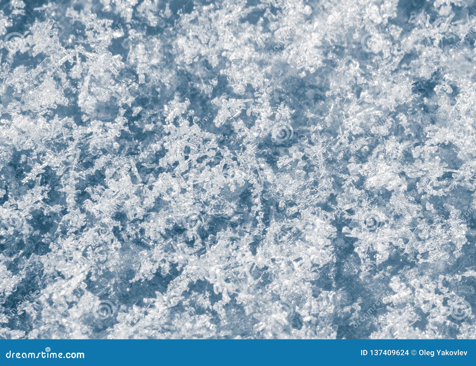 Isolated Texture of Ice Snow Stock Photo - Image of white, nature ...